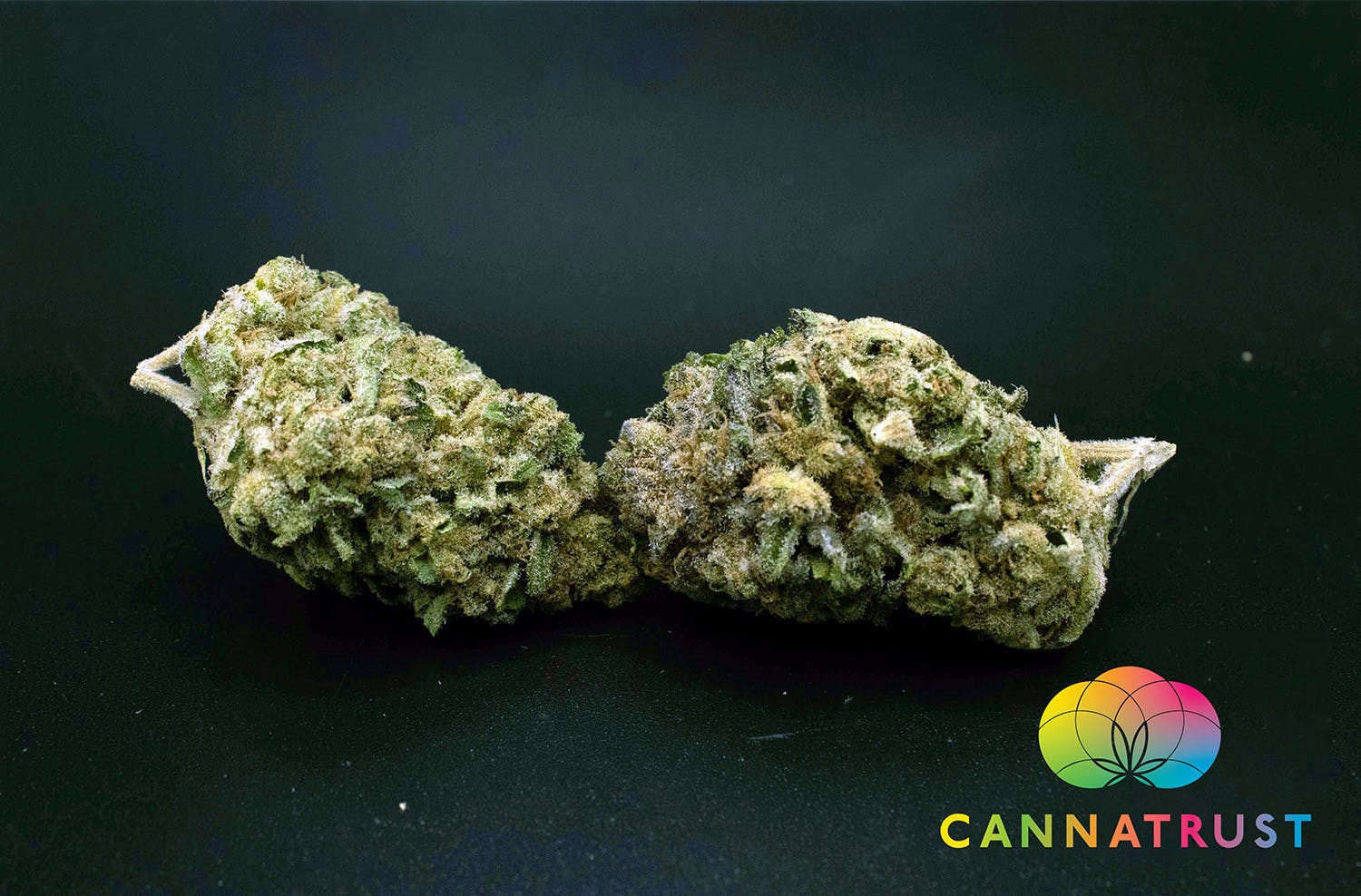 Green Apple Gas 1/2 Ounce/14Grams(28%THC, Sativa) - Trusty Transportations