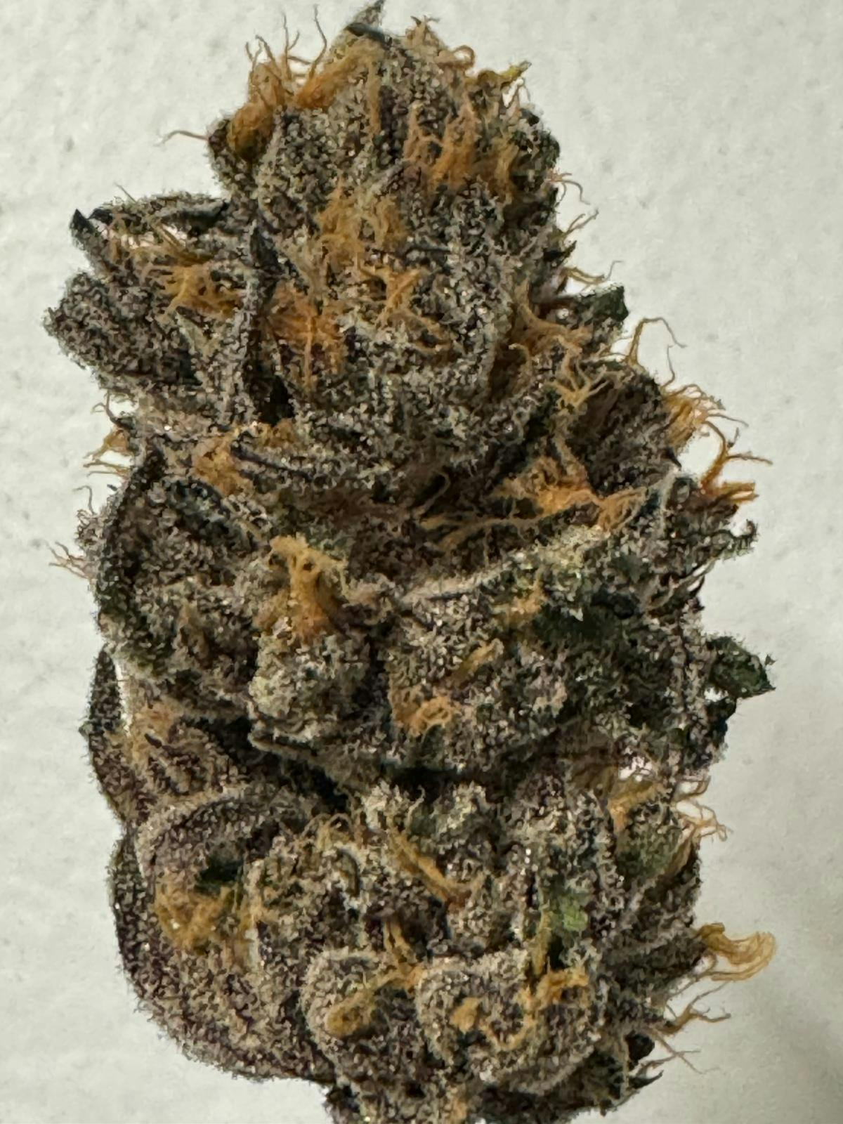 Wookies Premium Eighth (3.5g) ***NEW LOWER PRICE** - Top Shelf Express
