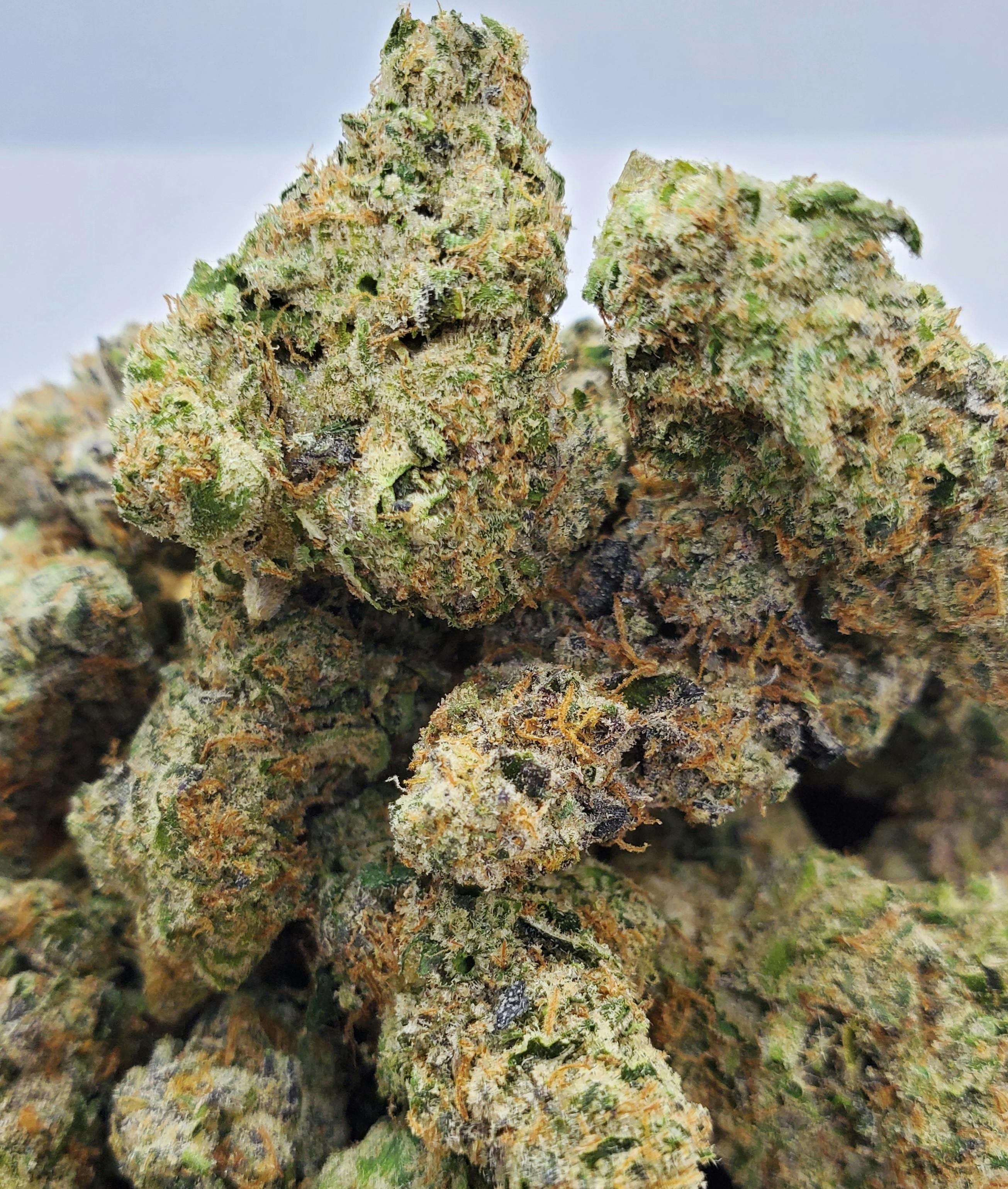 Lemon Snow Leopard - World Class Cannabis