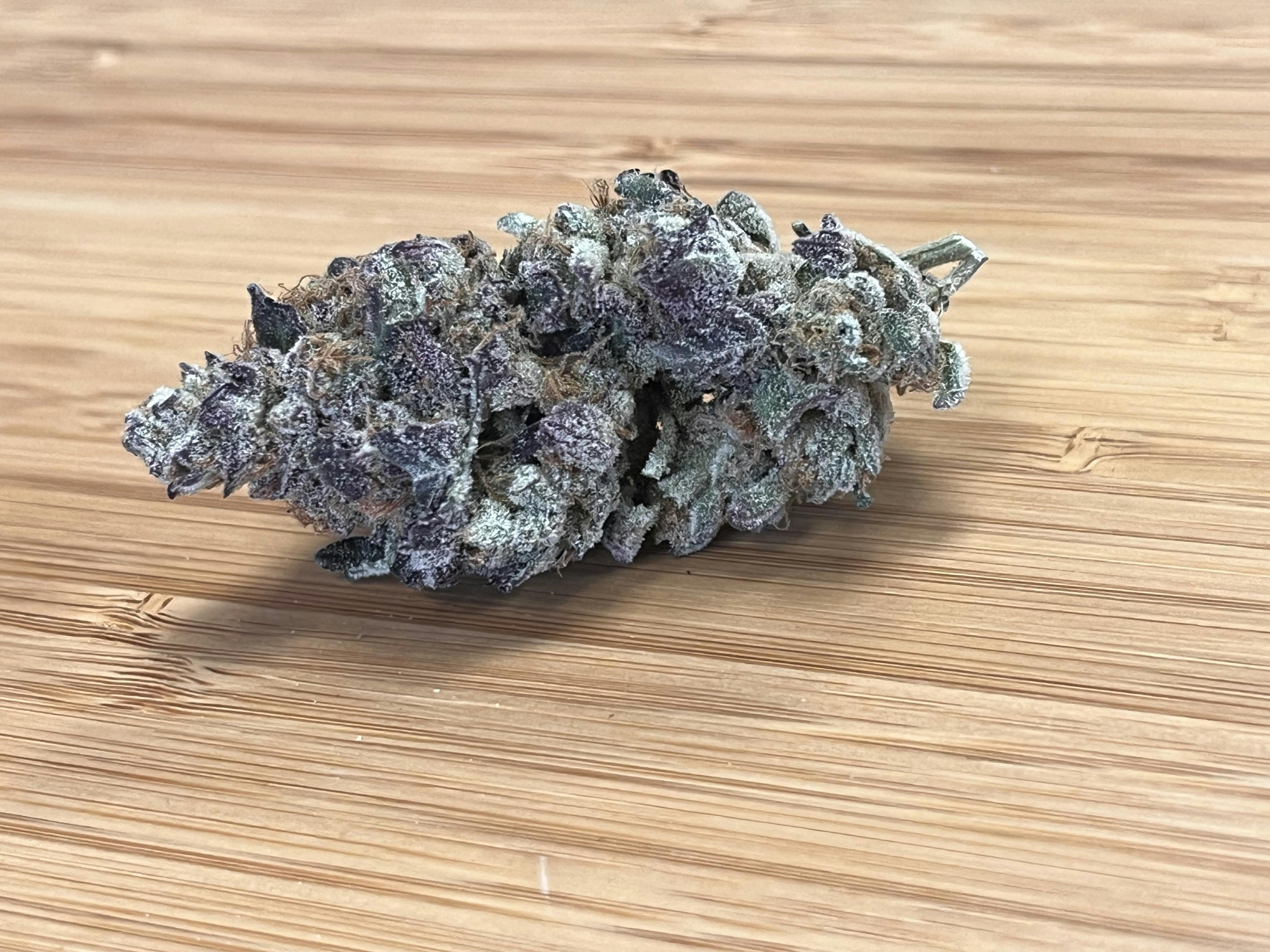 Gelato 47 - ITF