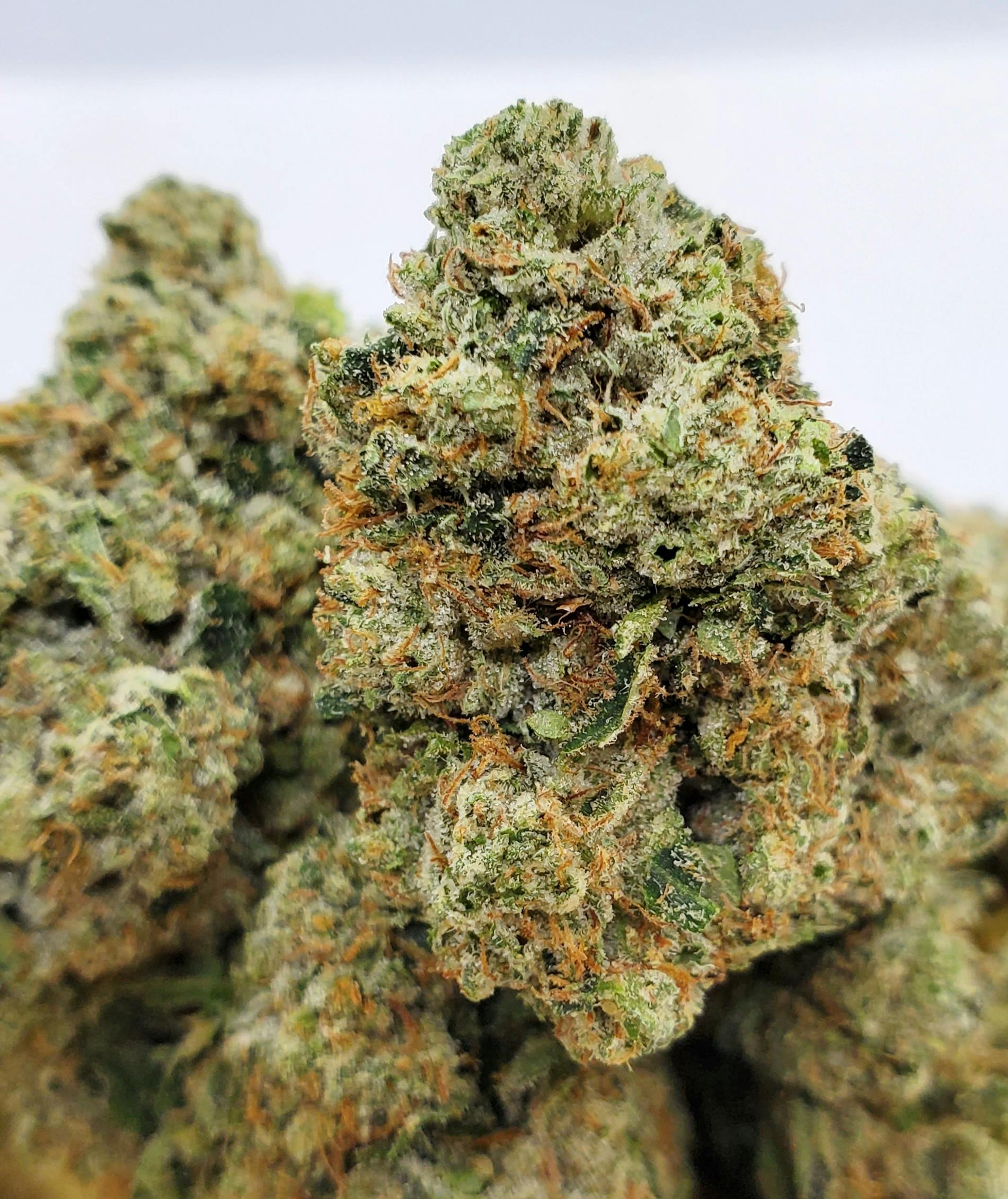 Mars OG - World Class Cannabis
