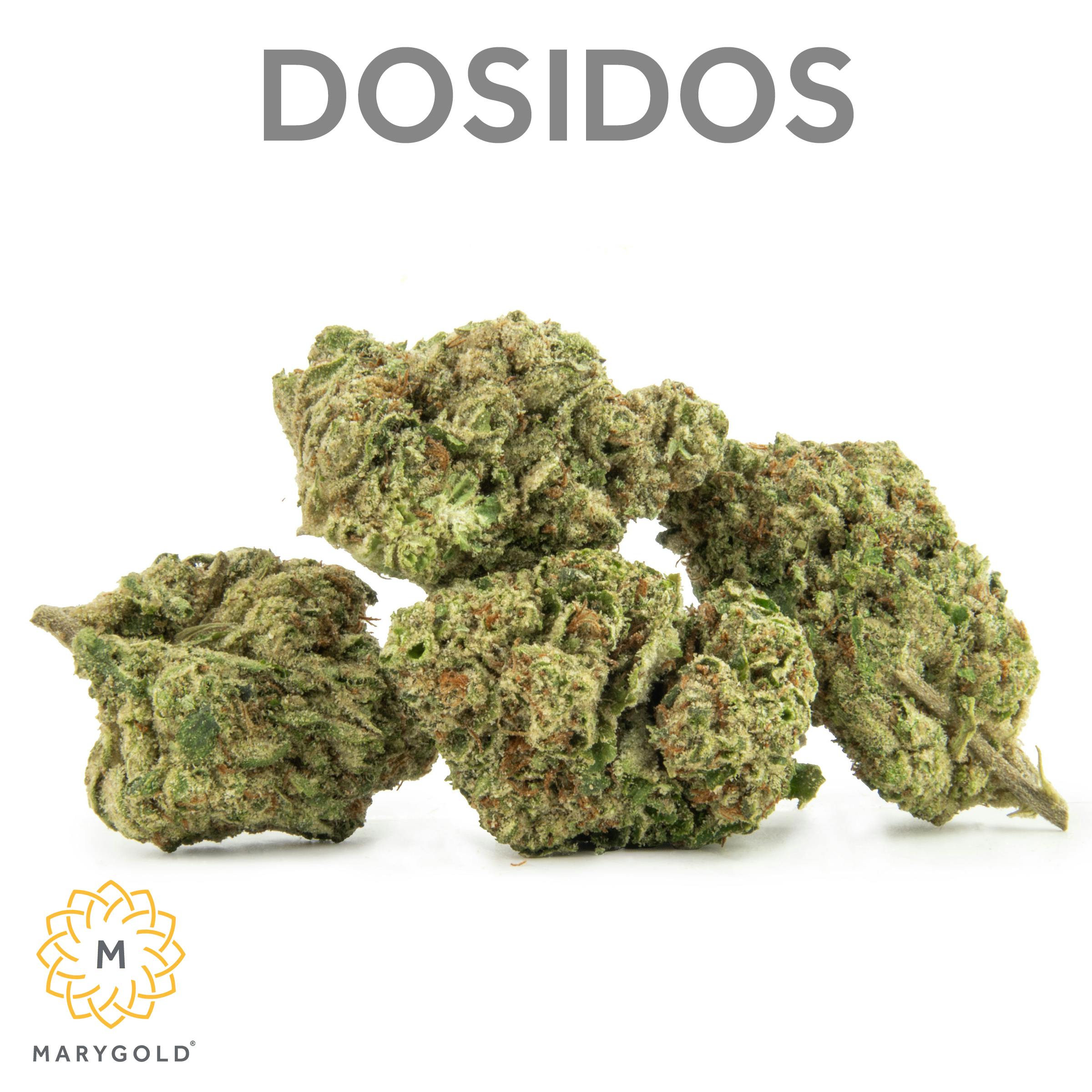 DoSiDos 14g - Marygold