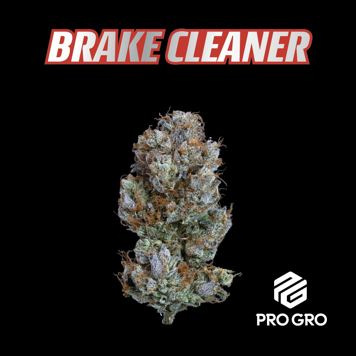 Brake Cleaner - Pro Gro