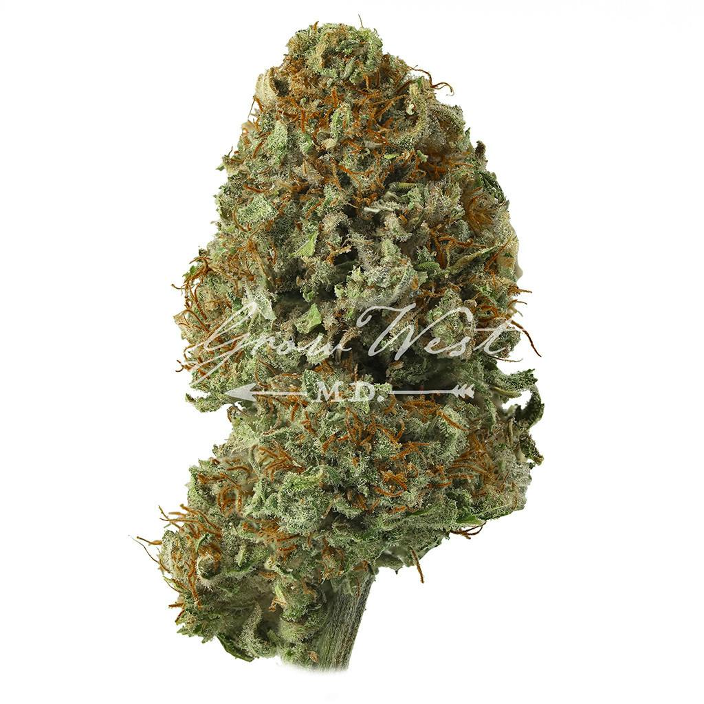 Super Silver Haze | Gold | Trimmed Flower - Grow West Cannabis Company