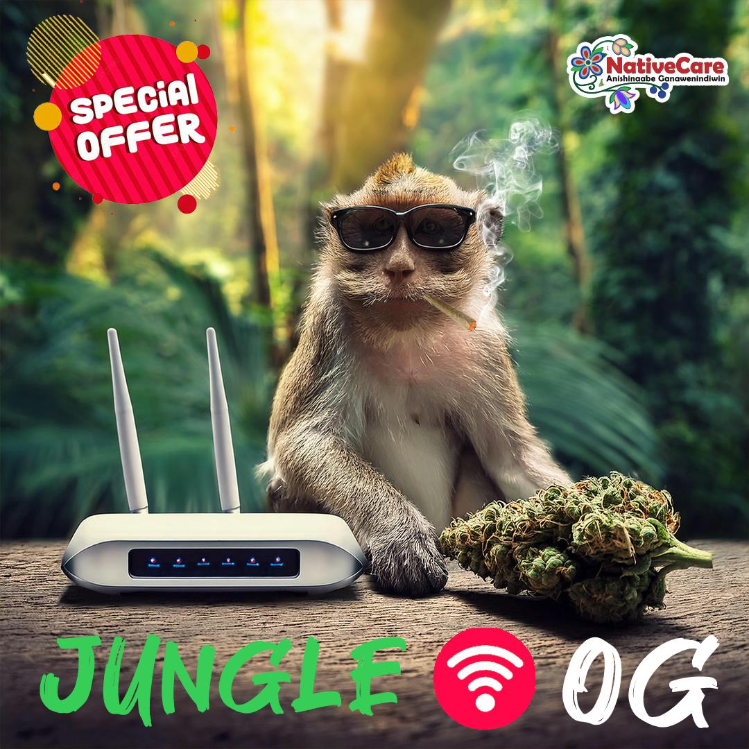 Jungle Wifi Flower - 28g - NativeCare Brand