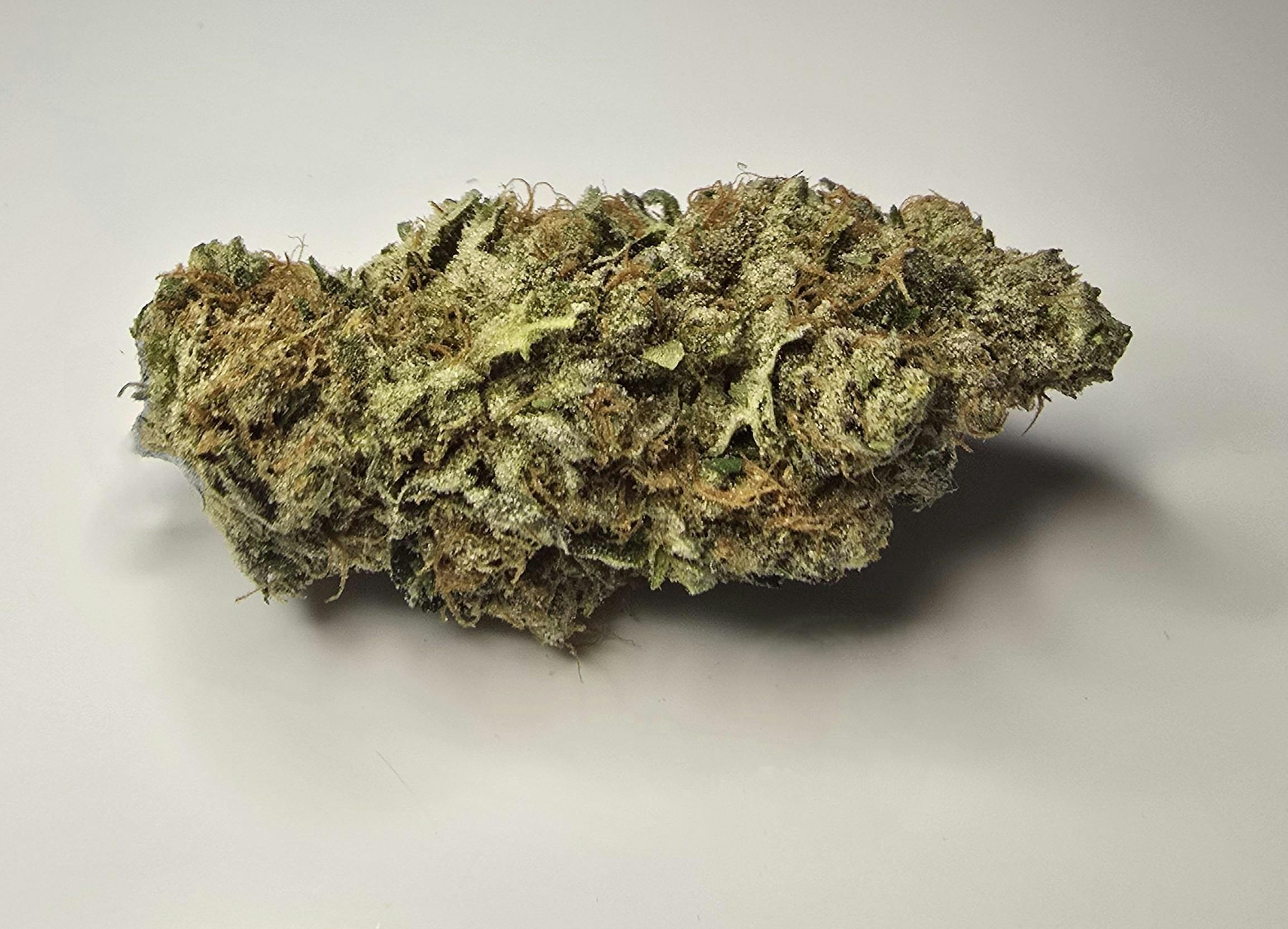 PhD Indoor Flower - Pure Motion (S) - Pharmicated