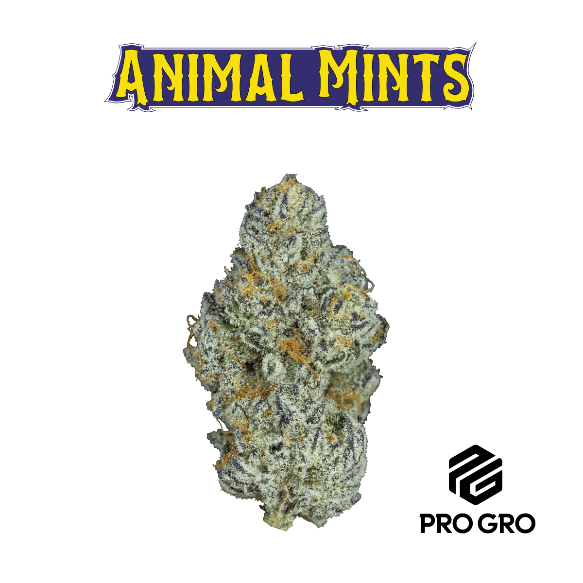 Animal Mints - Pro Gro