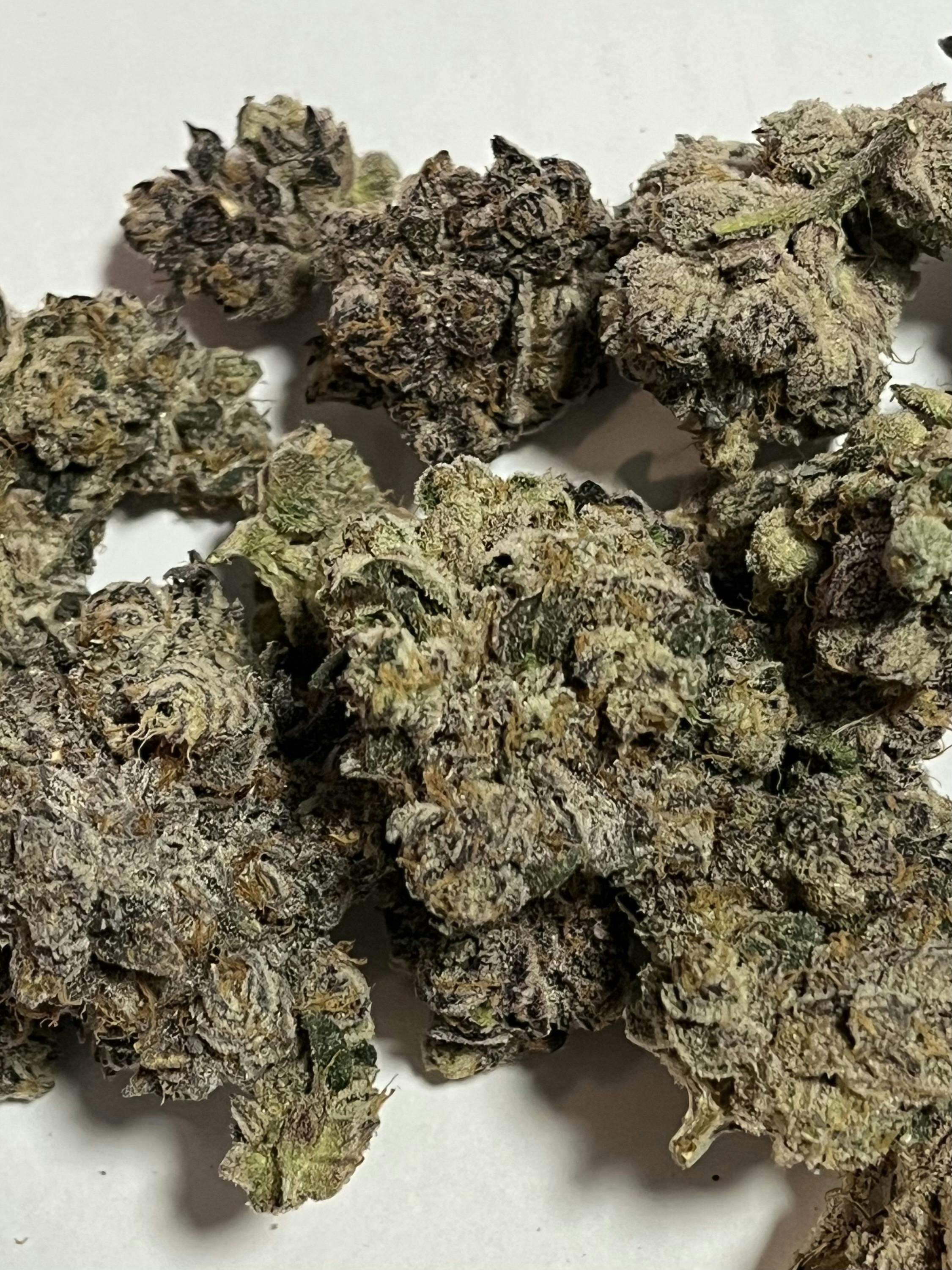 Orange Runtz Indoor Flower 3.5g - Team Dime Genetics