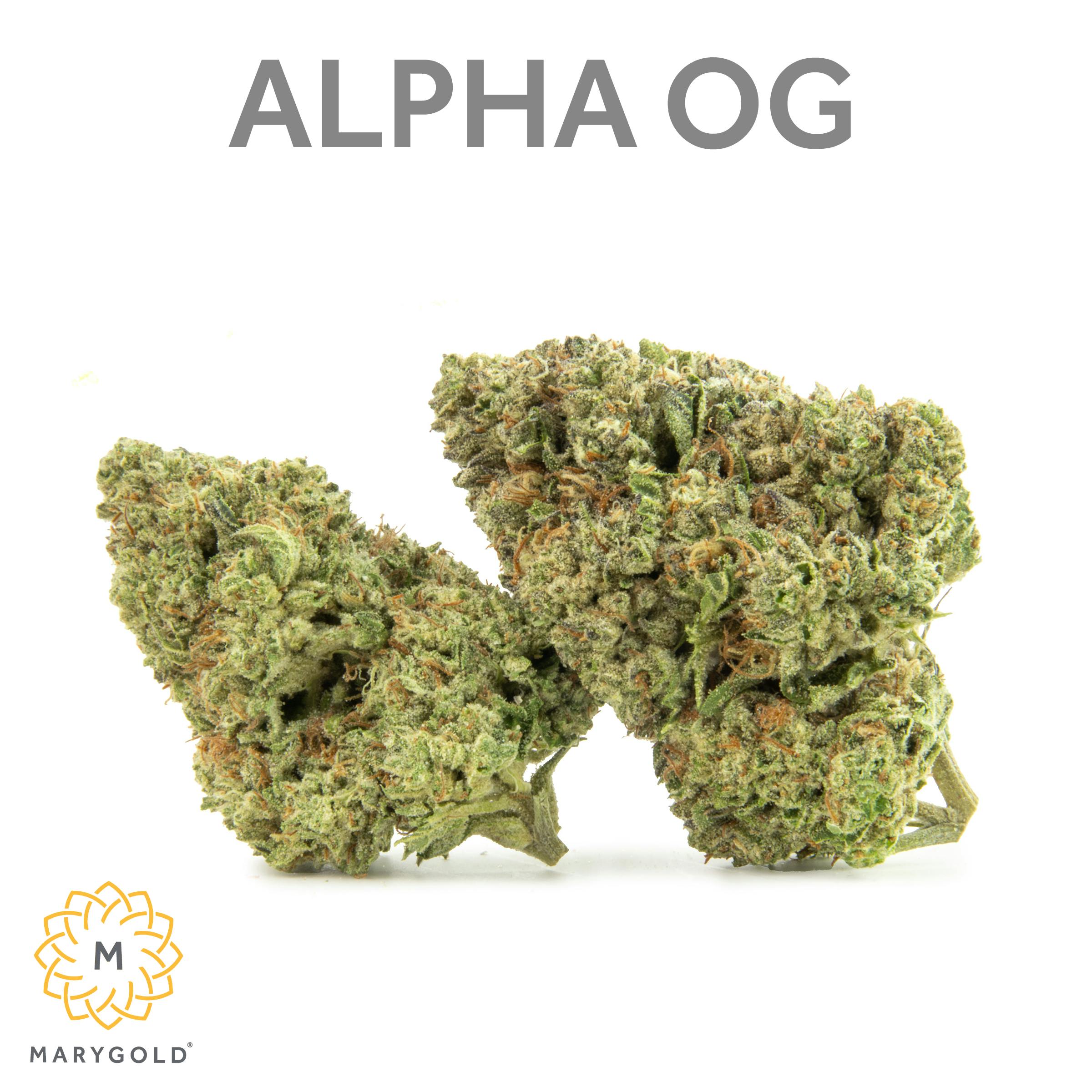 Alpha OG 3.5g - Marygold