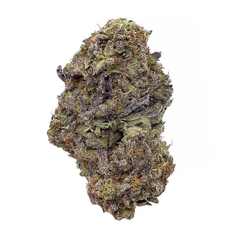 Purple Runtz - Mixed Light - LA Native