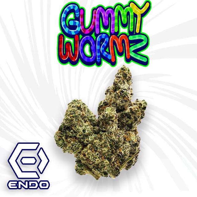 ENDO GUMMY WORMZ 3.5G - Endo