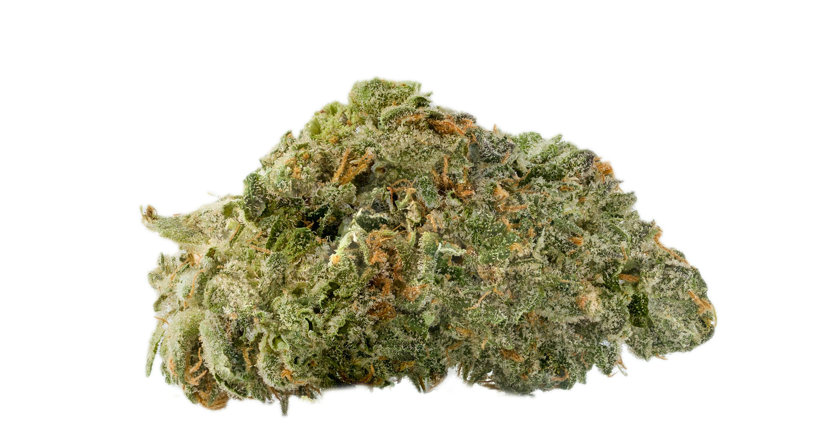 Glacier | Glacier Falls Legendary Hand-Trimmed Flower - Glacier Cannabis