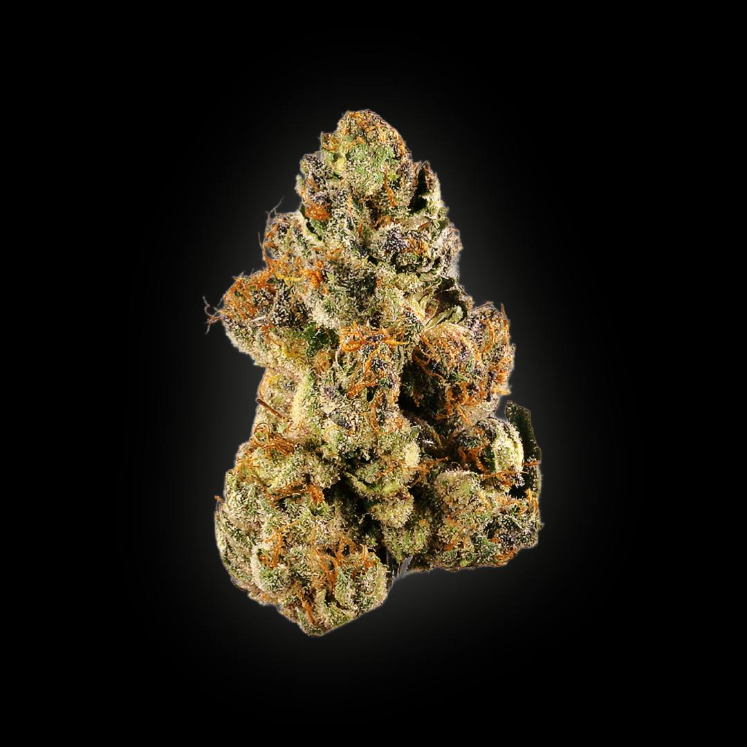 Caleta Flower | Strawberry Cream Cake - Auraz