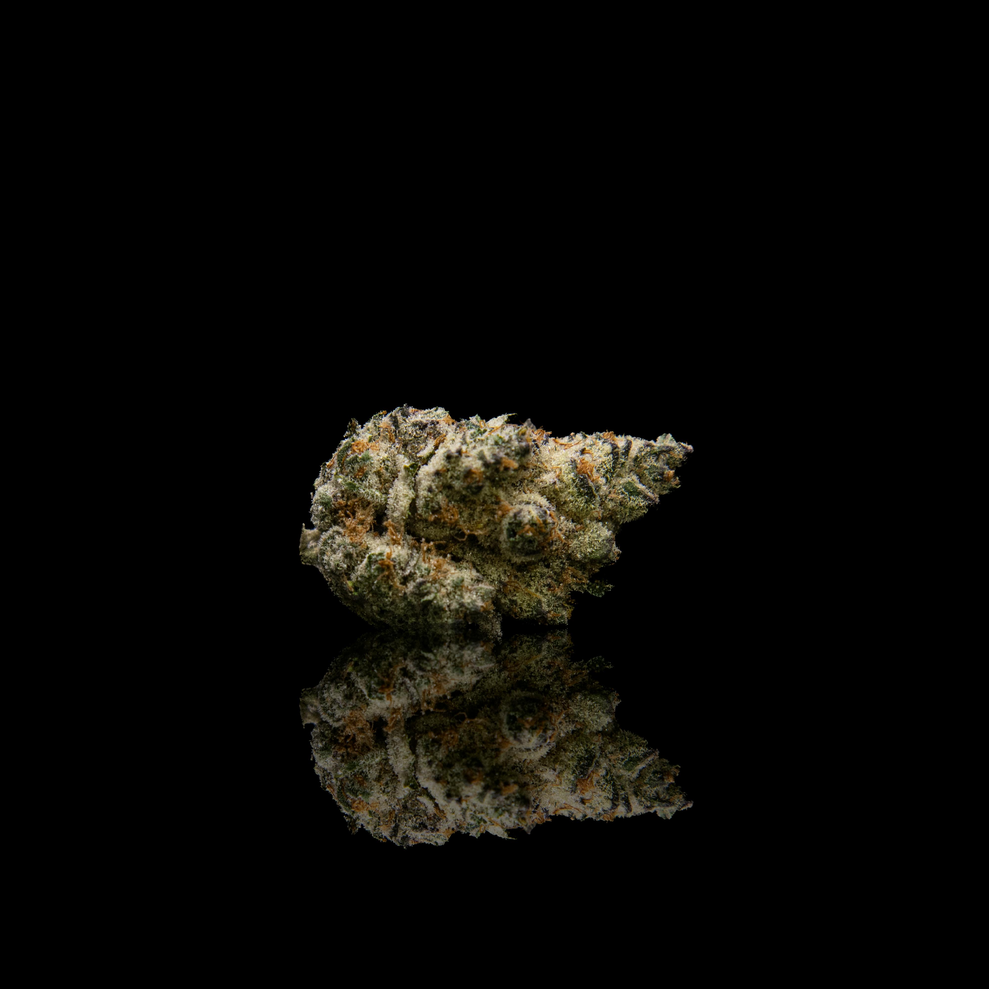 Baparaja - Maitri Genetics