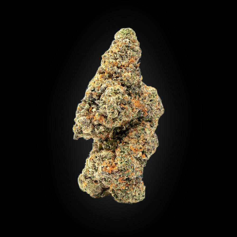 Caleta Flower | Gelato #33 - Auraz