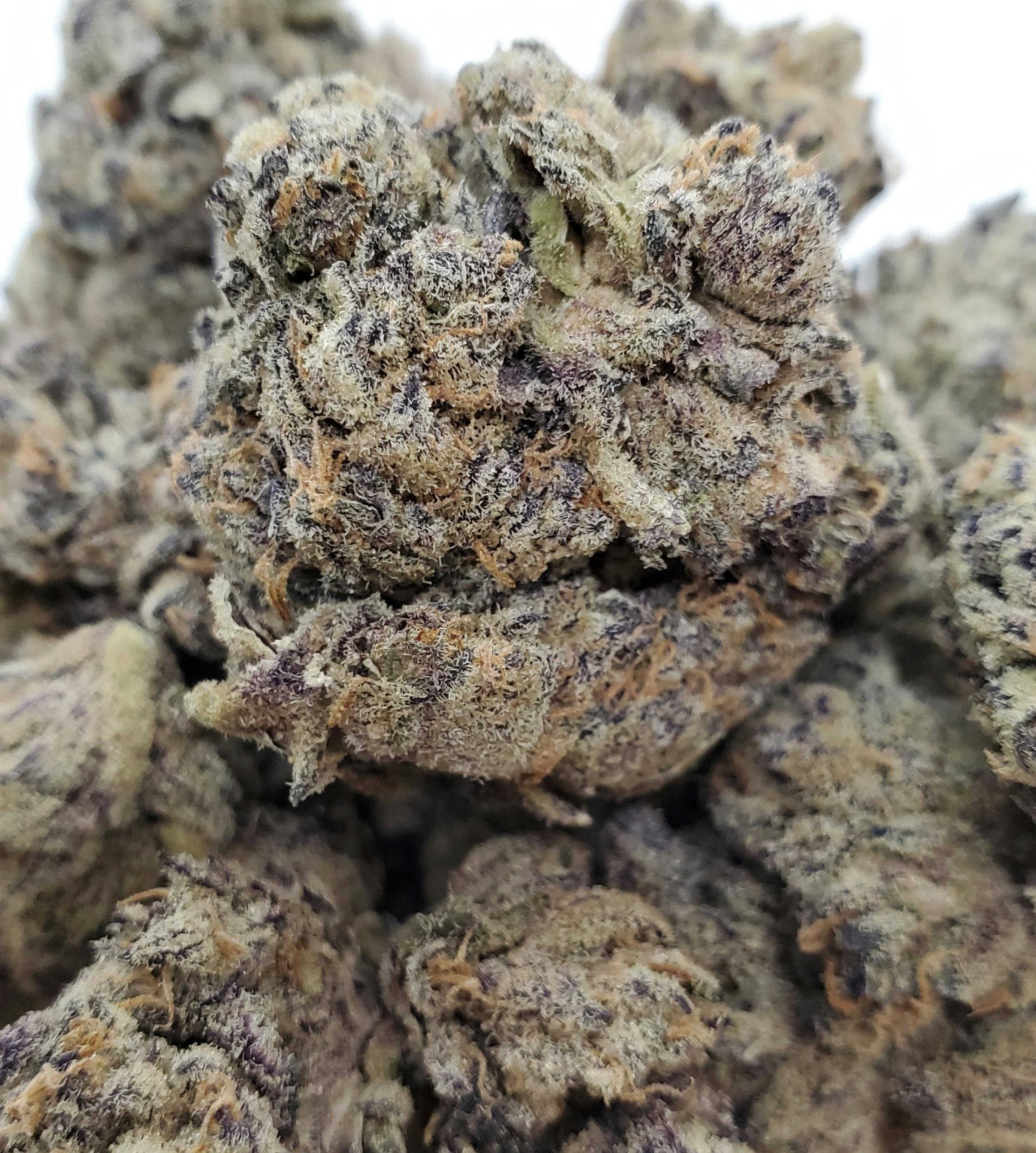 Peyote Cookies - World Class Cannabis