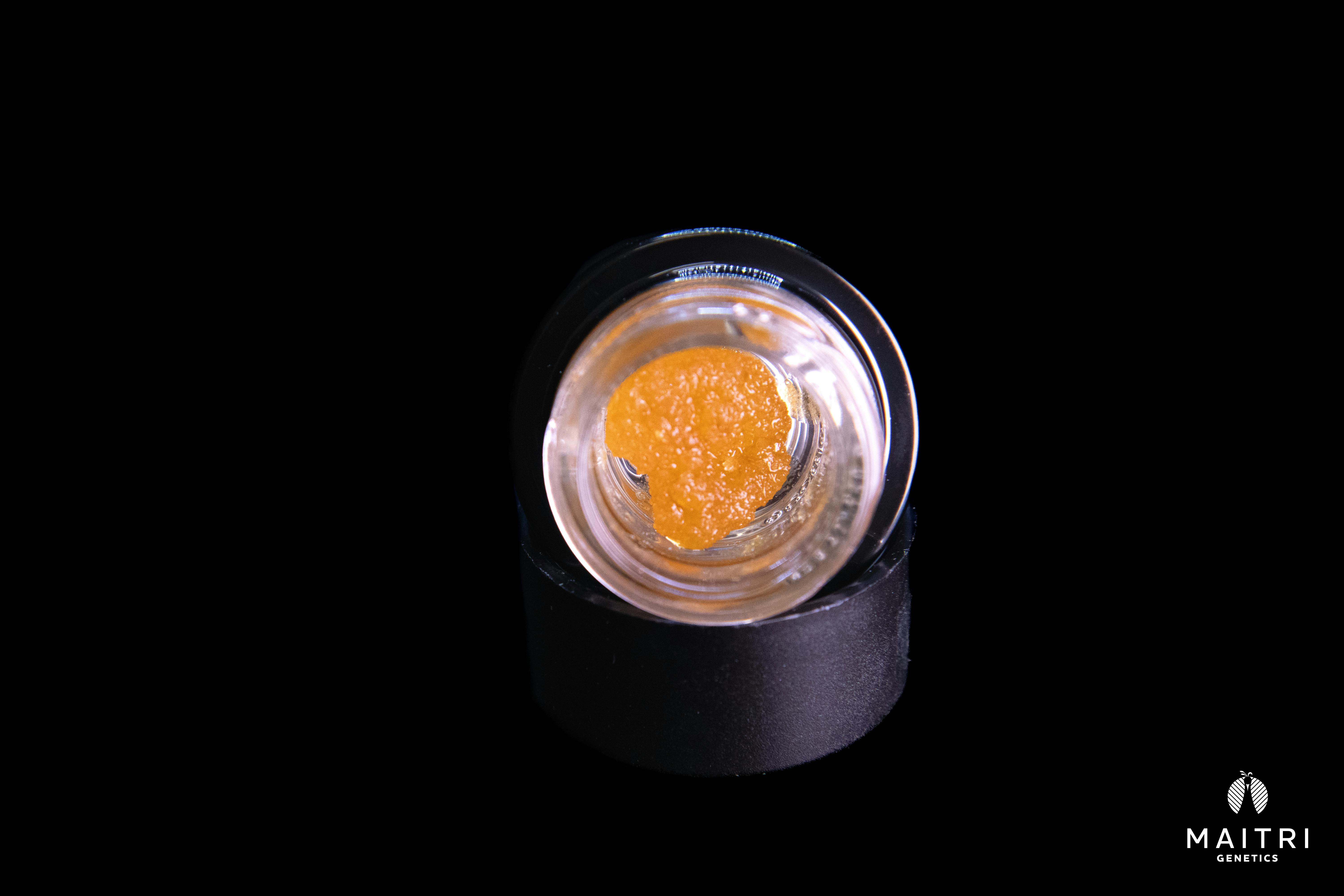 Jet Fuel Gelato - Maitri Genetics