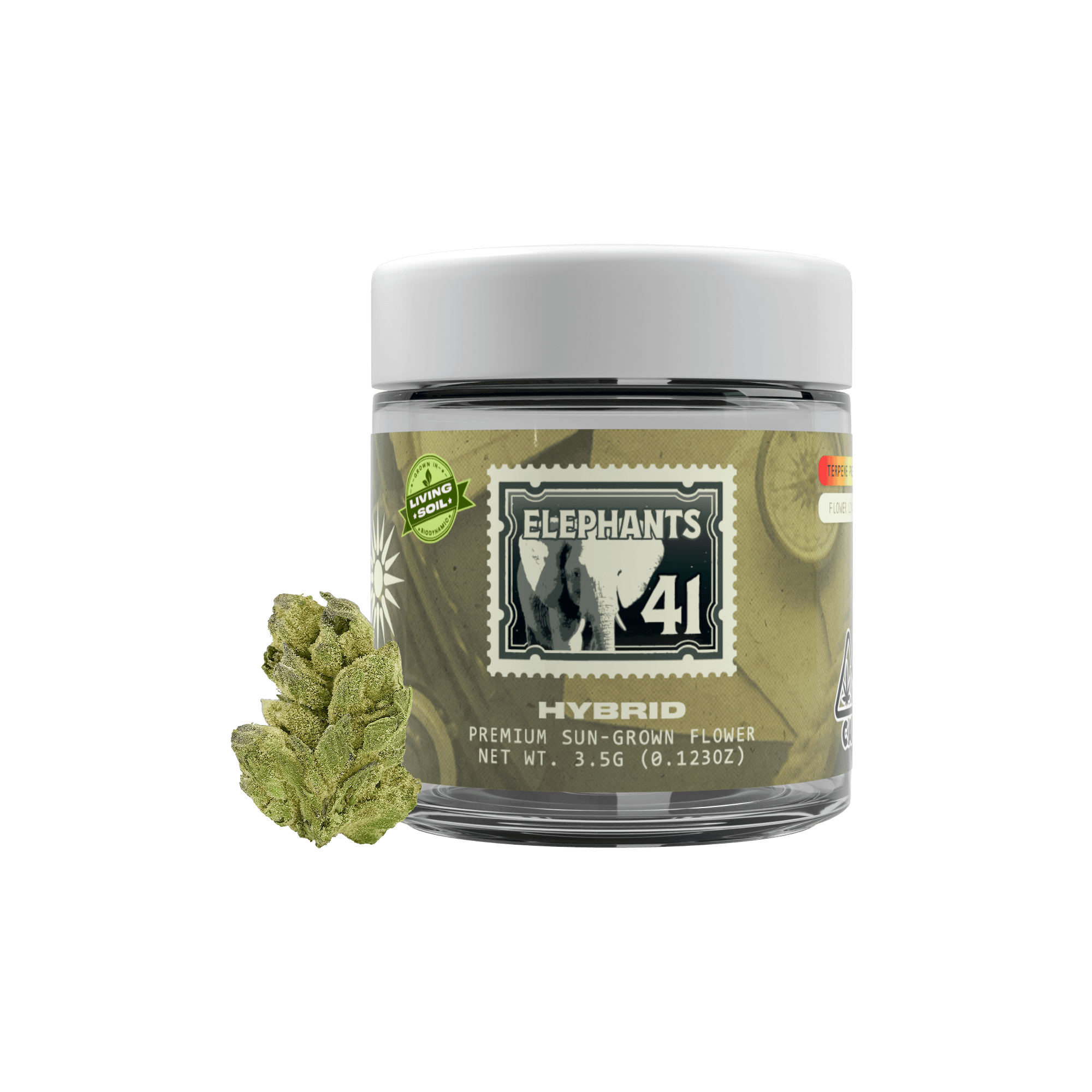 Elephants 41 | Jarred Flower (3.5g) | Hybrid - Solis