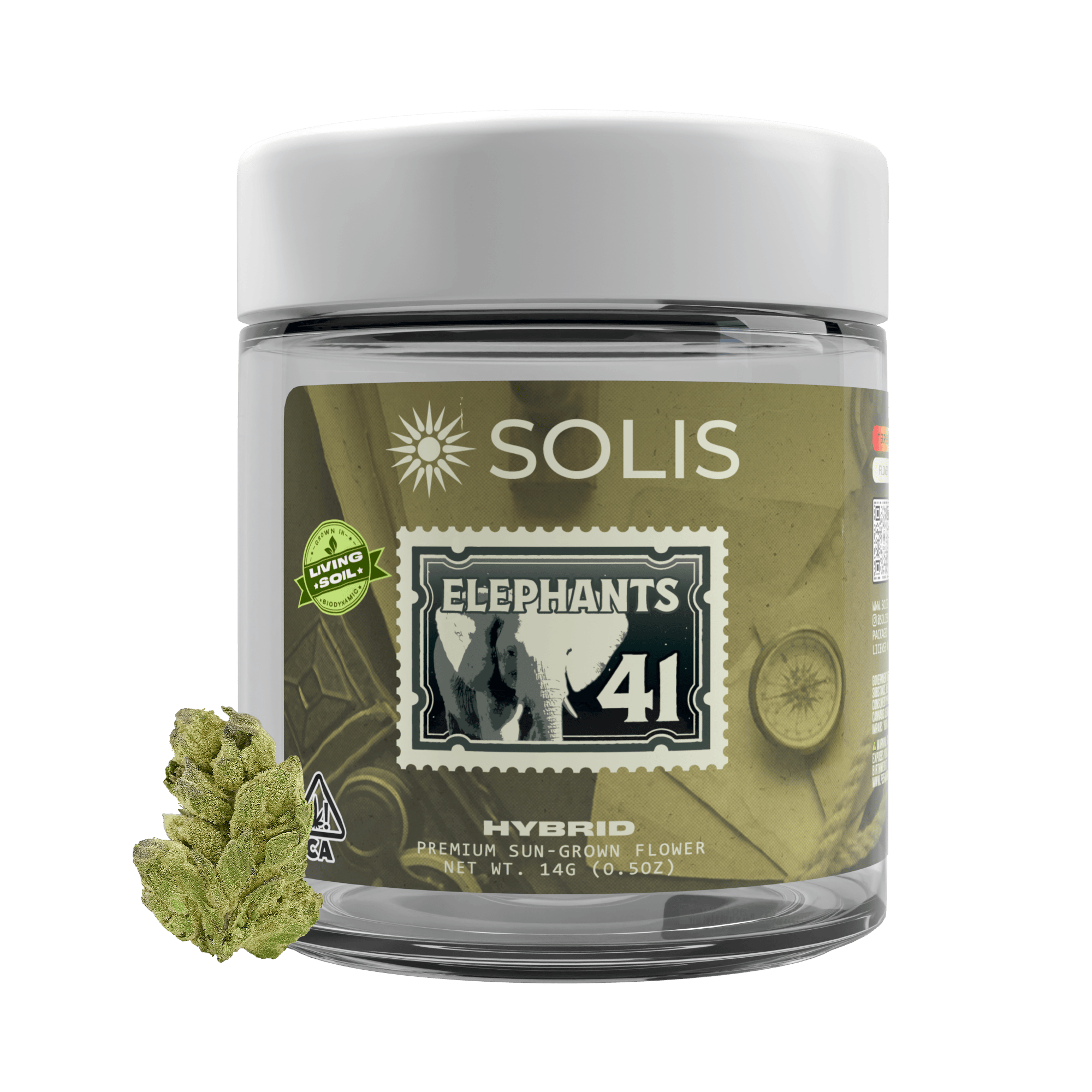 Elephants 41 | Jarred Flower (14g) | Hybrid - Solis