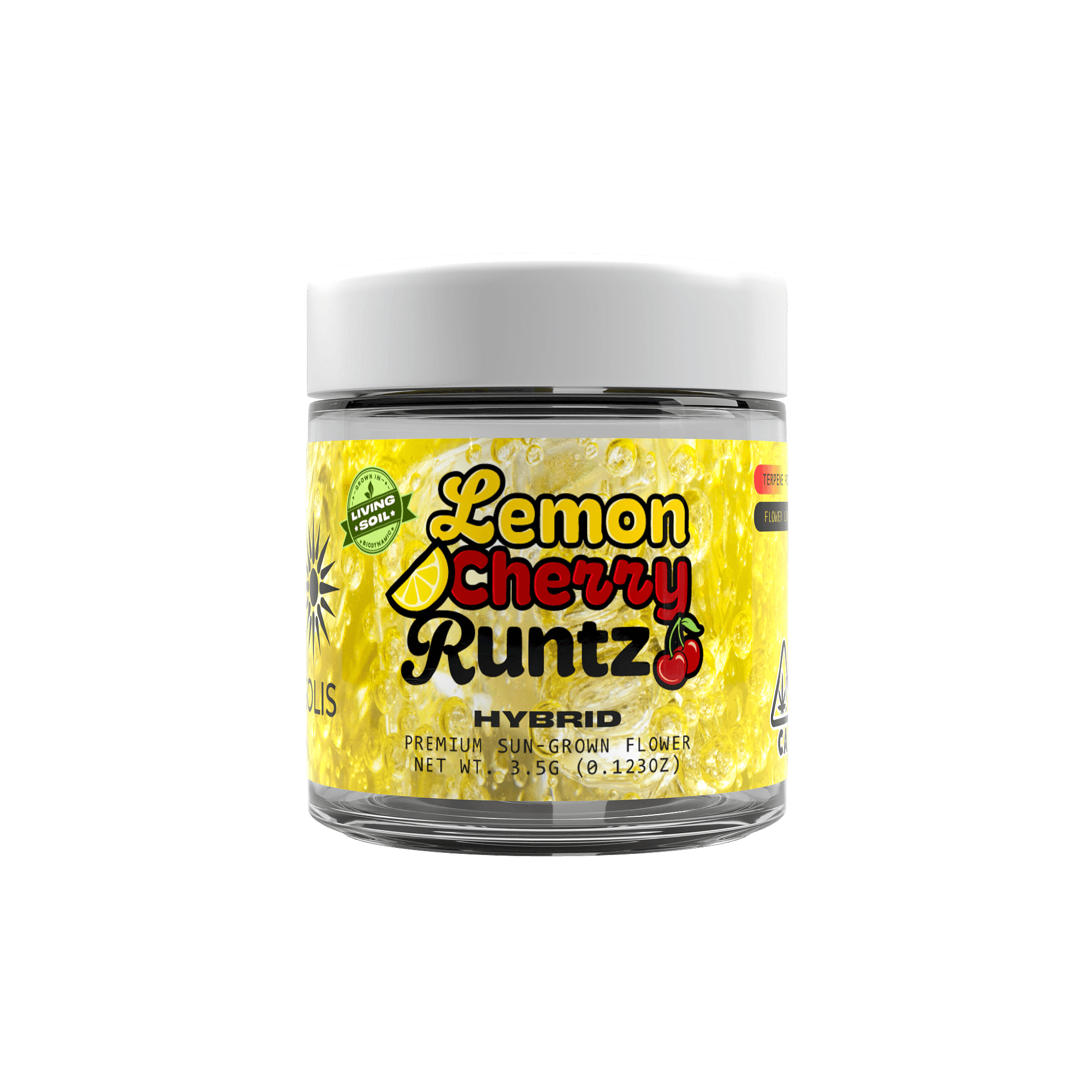 Lemon Cherry Runtz | Jarred Flower (3.5g) | Hybrid - Solis