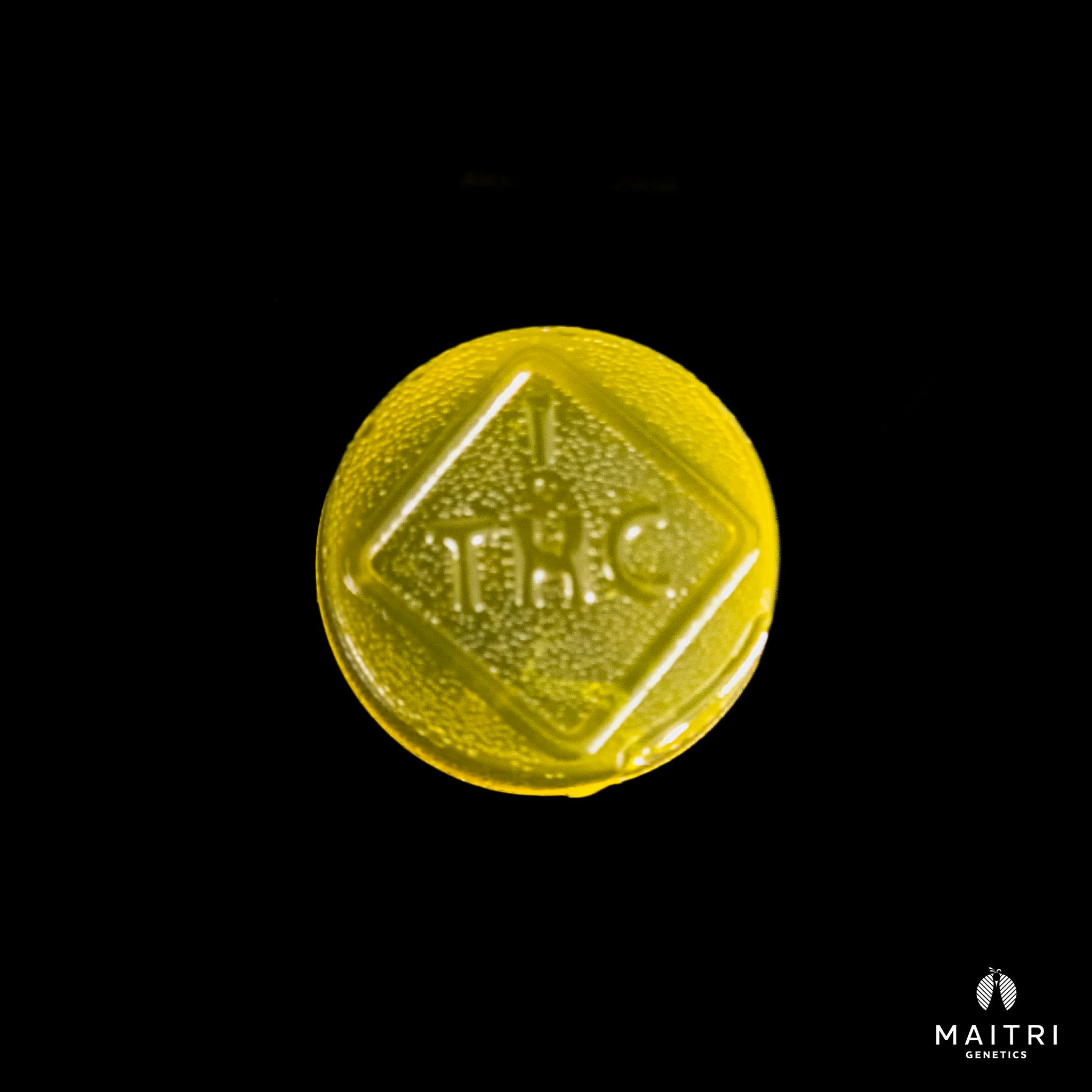 Star Fruit 5mg THC Troches | 20 pack - Maitri Genetics