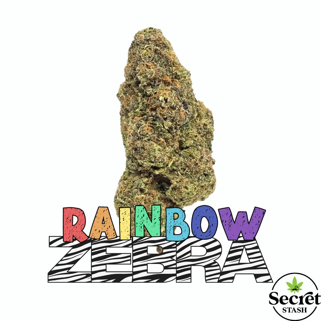 Secret Stash | Flower | Rainbow Zebra | G - Secret Stash