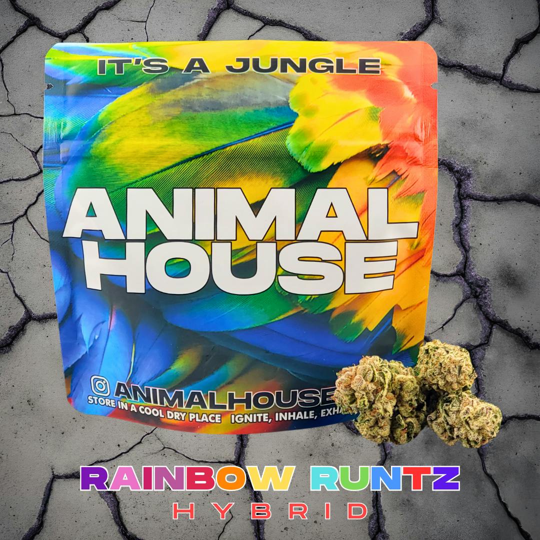 Rainbow Runtz | Flower | 3.5g - Animal House