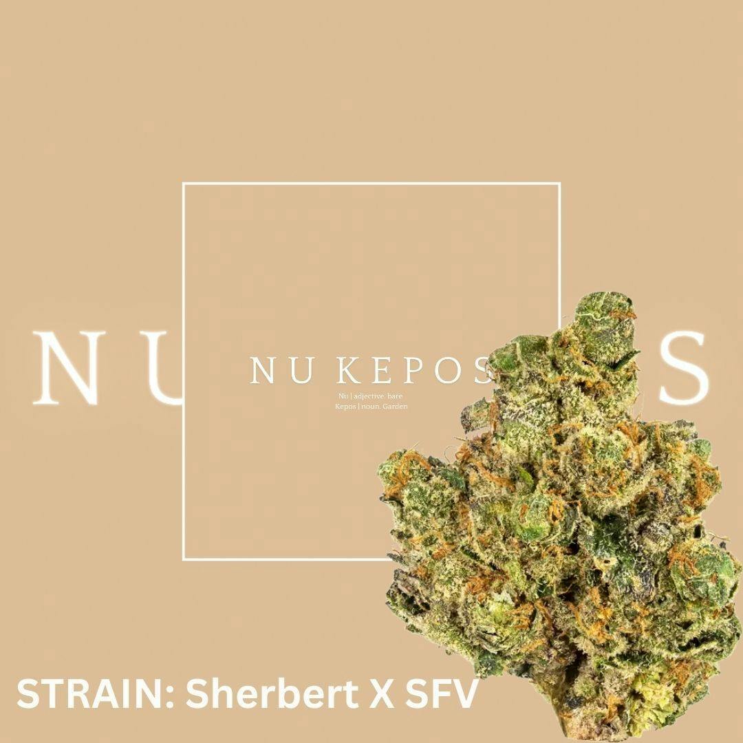 Kepos - Sherbert x SFV 14g - Nu Cannabis Brand
