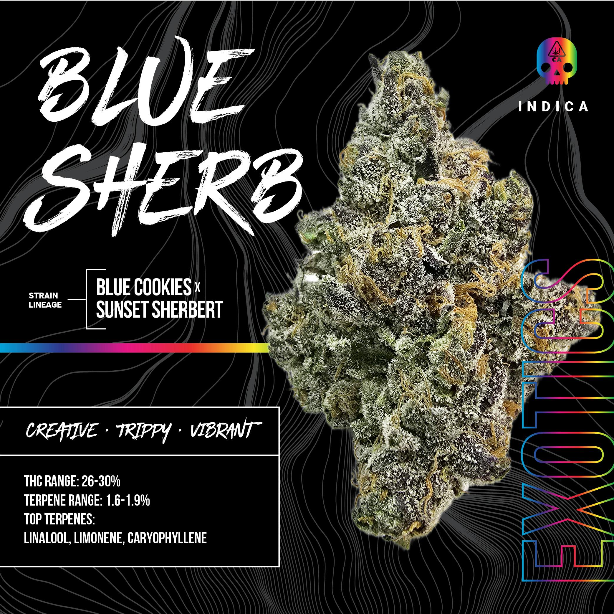 BOSKY - Blue Sherb (3.5G) - Bosky Genetics