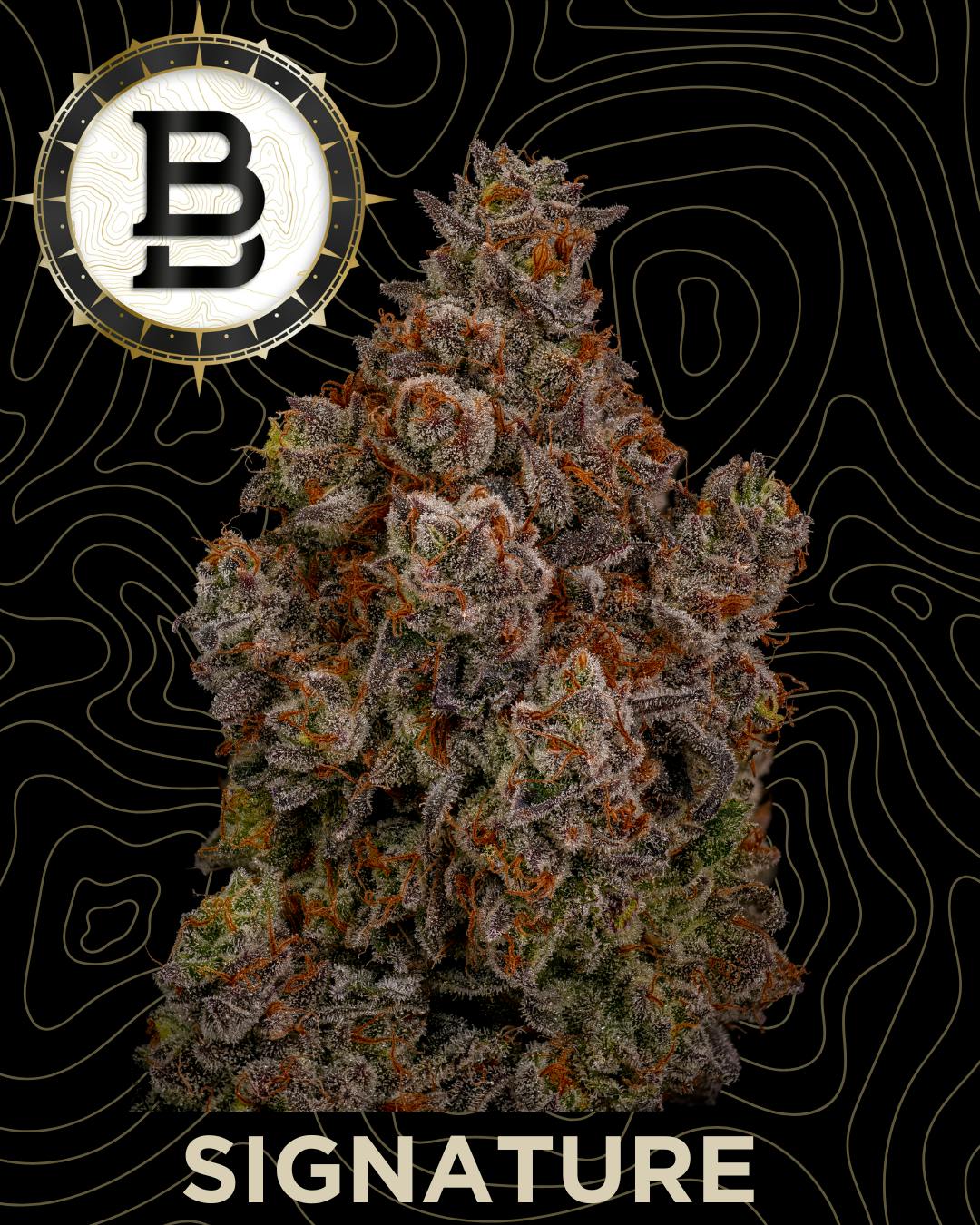 Bye Ya Baby Connoisseur - Boulder Built