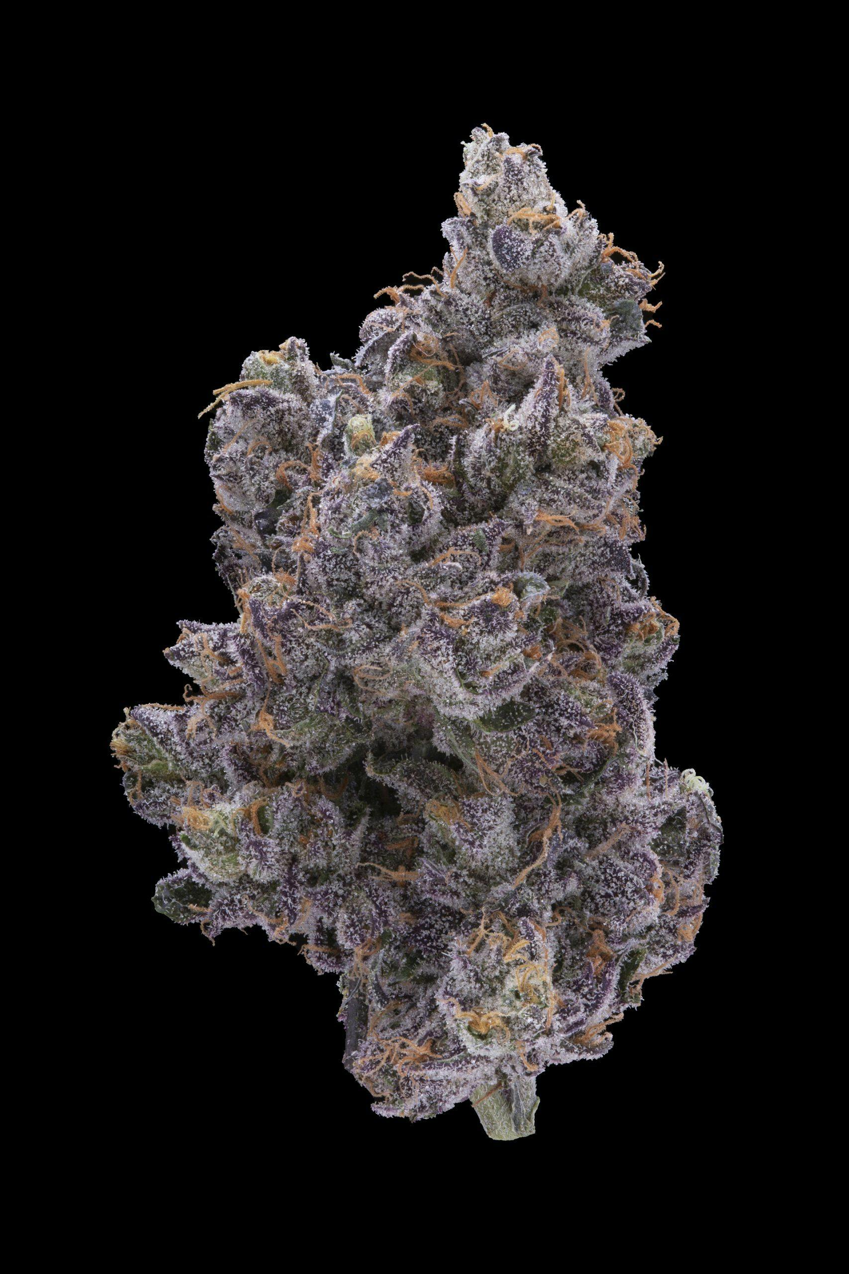 Cookies Gelato - Allure