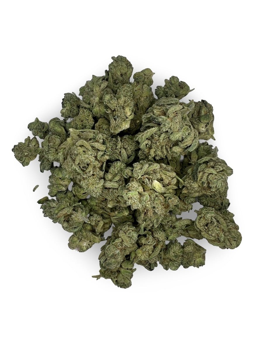 Gasolina $100oz - Rugged Roots - Indico