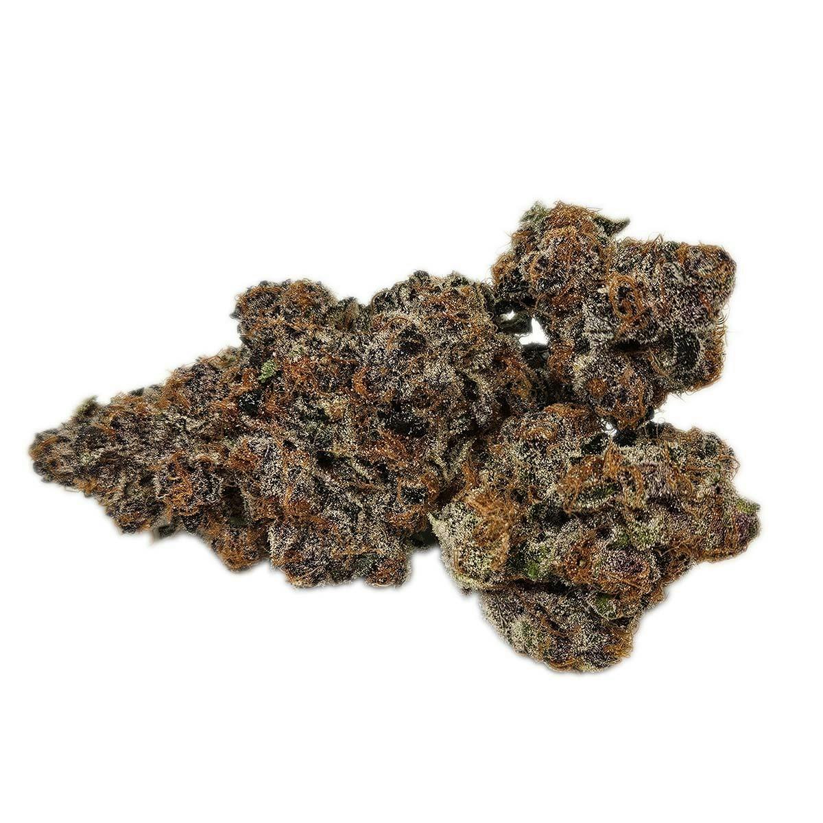 Super Boof - Freedom Road