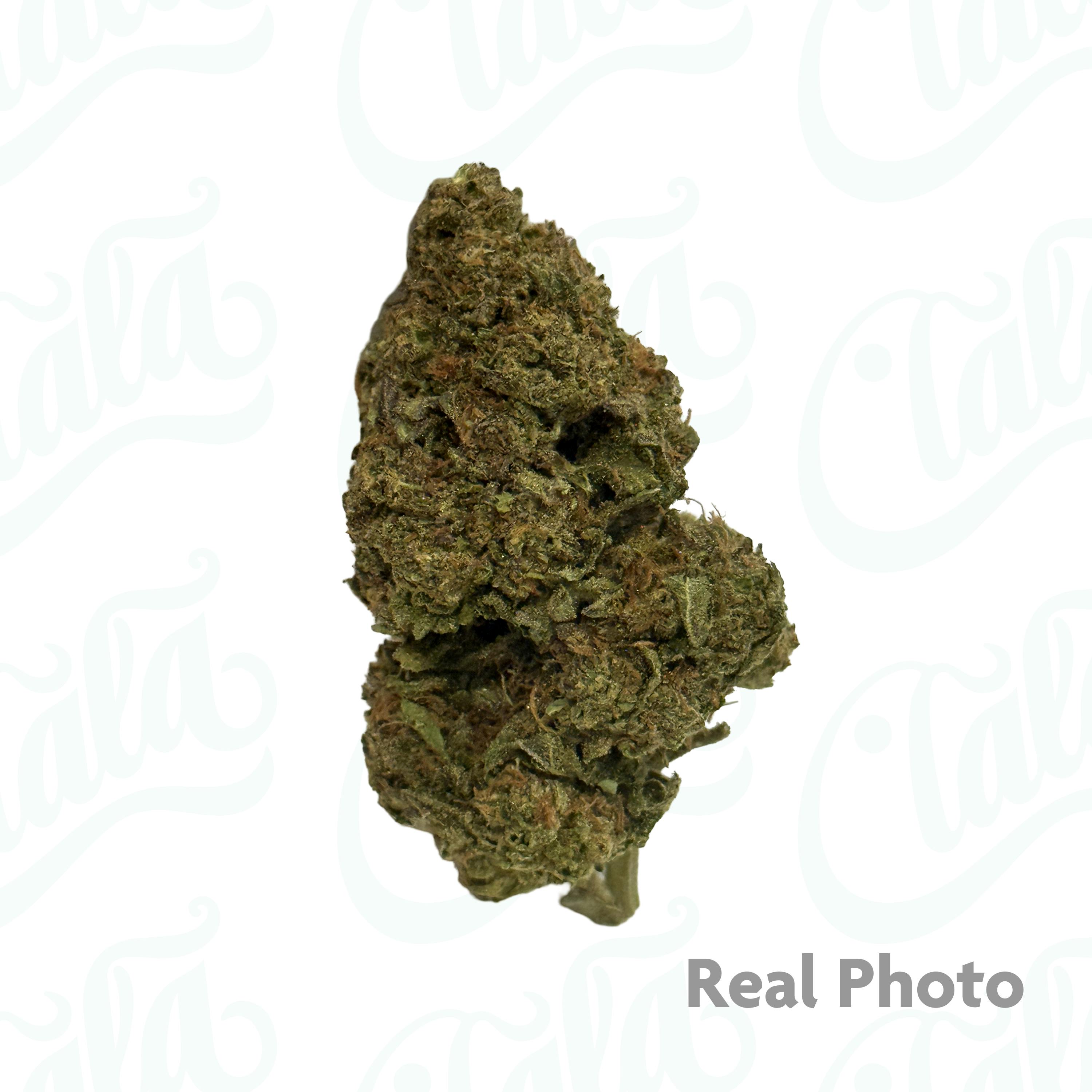 Modified Grapes - 14 gram - Stingers