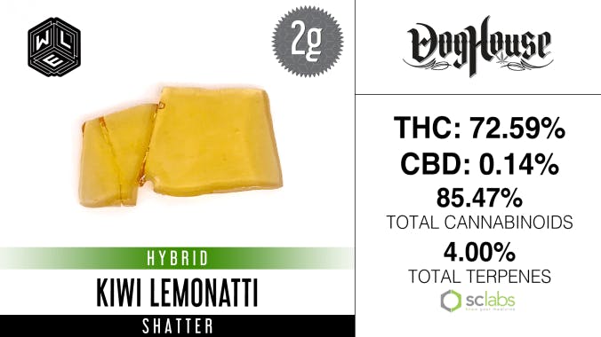 WLE | Kiwi Lemonatti | Shatter (2g) - White Label Extracts