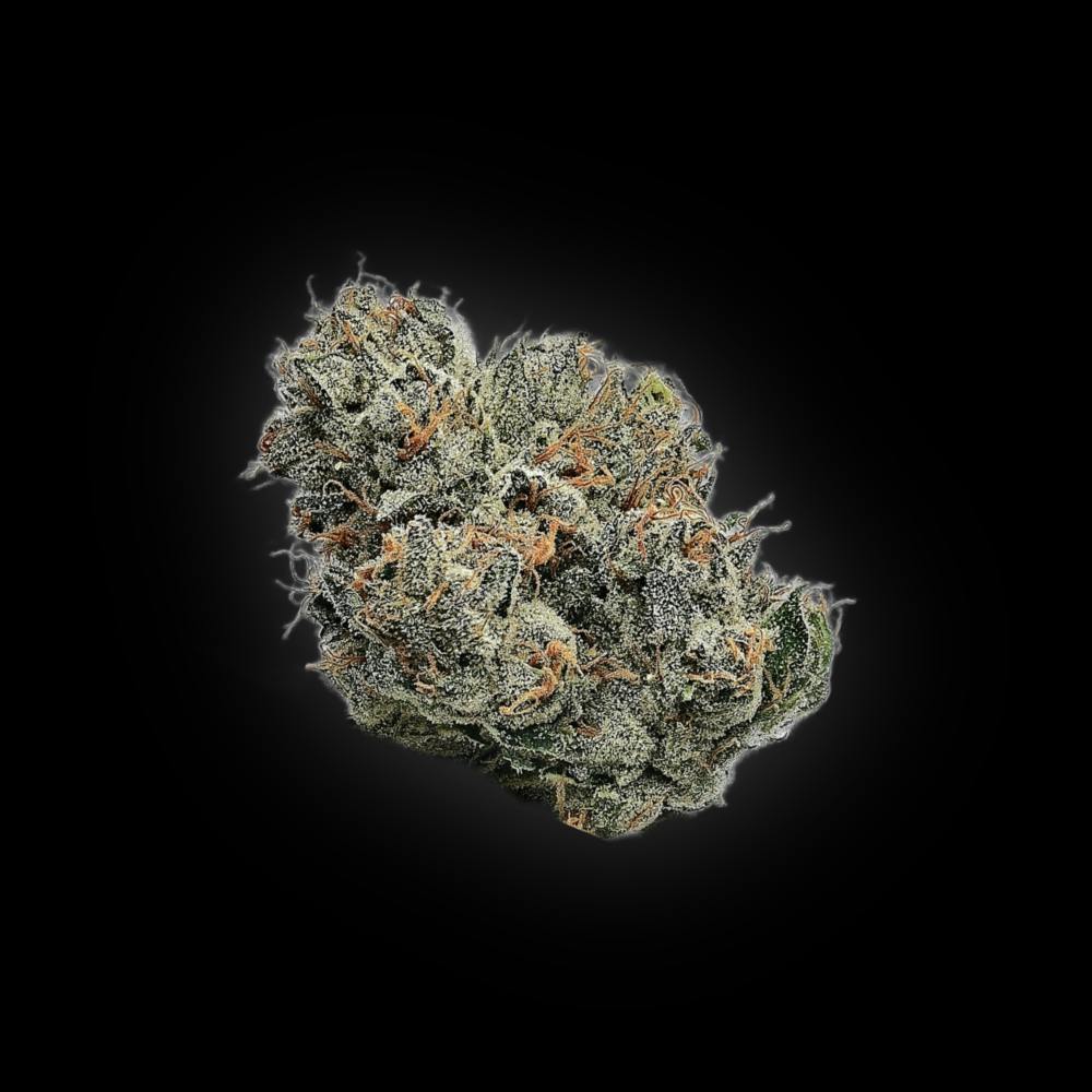 Caleta Flower | Ice Cream Sherbet - Auraz