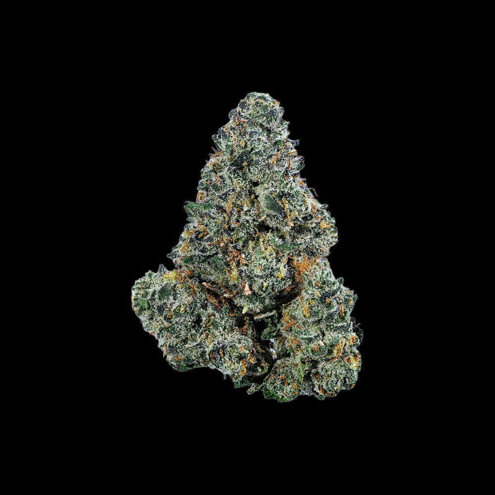 Caleta Flower | Strawberries and Cream - Auraz