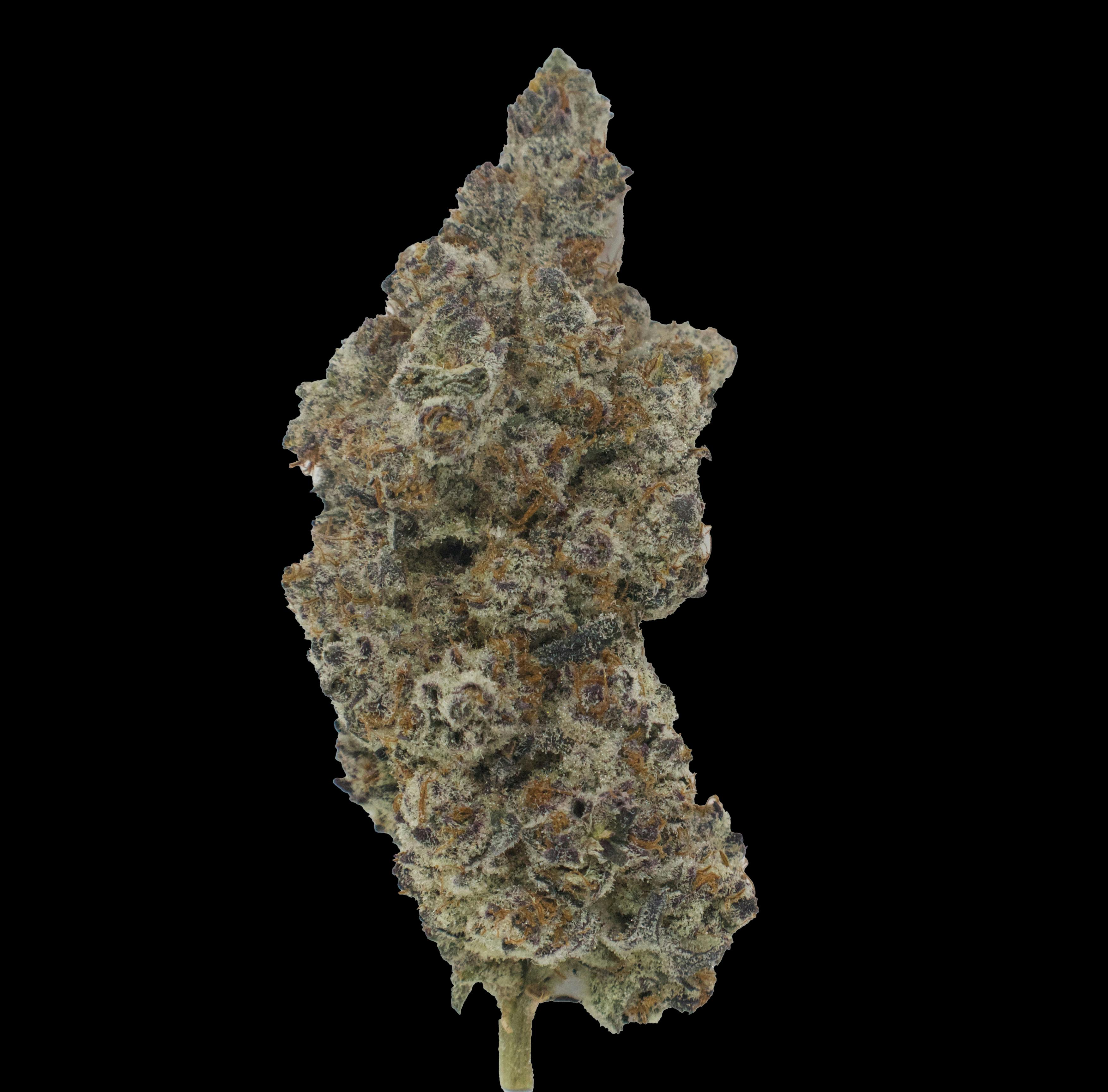 Secret Cookies (H) (3.5G Prepack) - Cadillac Cannabis