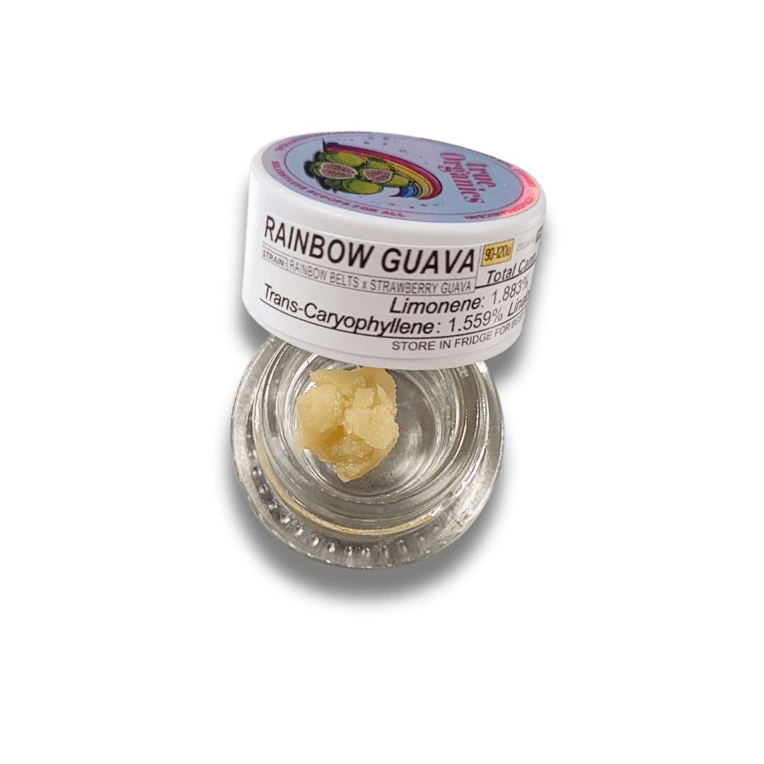 IKHCO x True Organics | Rainbow Guava | Live Rosin | 1g - Ice Kream Hash Co.
