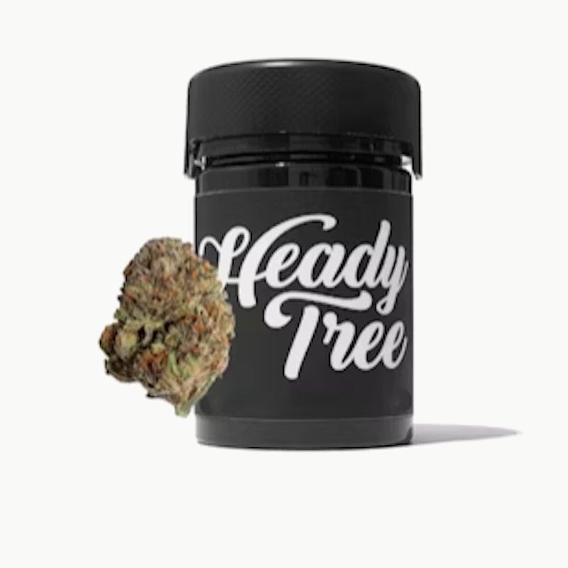 Gastonaut Status 3.5g - Heady Tree