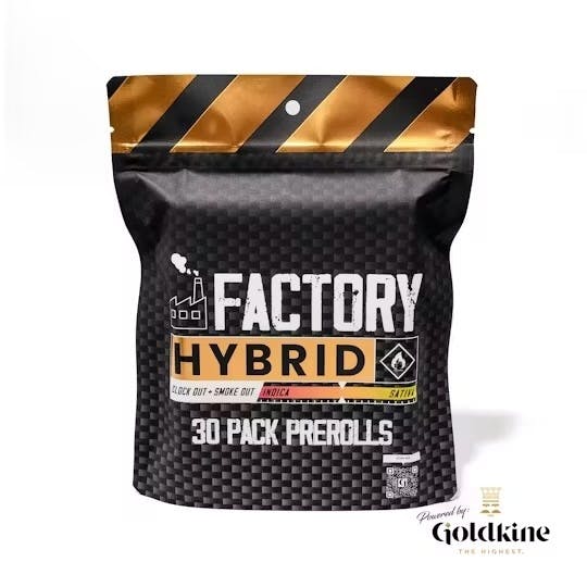 Factory 30-Pack | Lotta Gelato - Goldkine