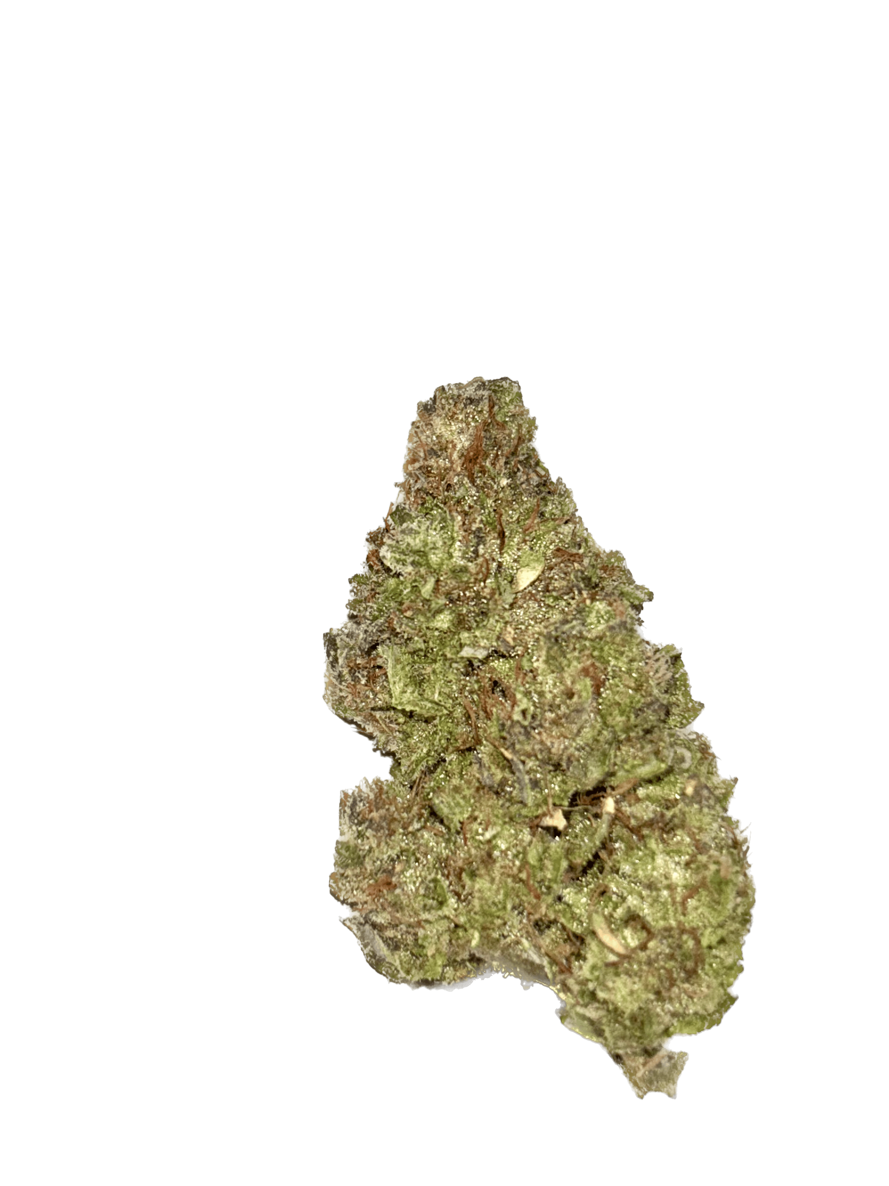 Apple Jack I 50% I 50%S - Dynastree