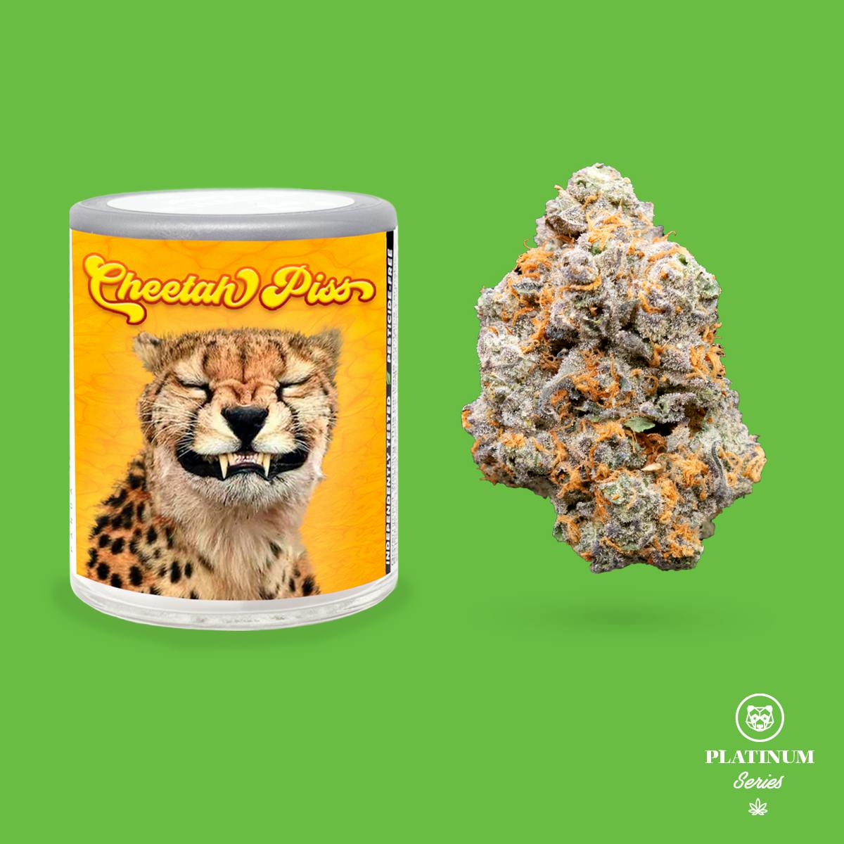 Cheetah Piss 3.5g - CA - Phat Panda