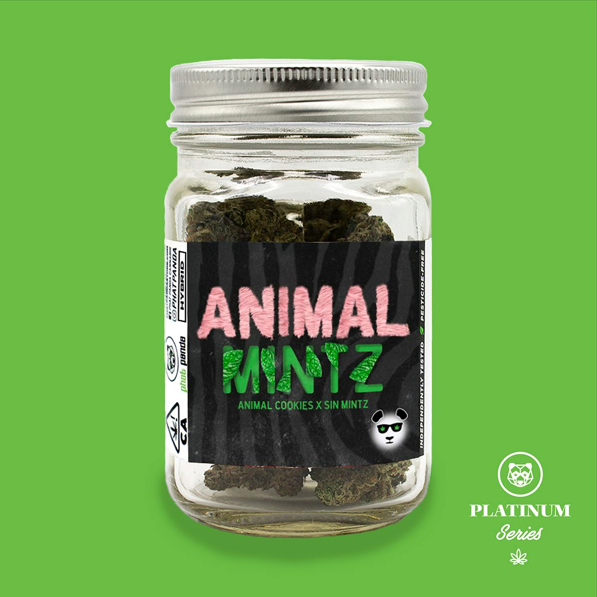 Animal Mintz Mason Jar - CA - Phat Panda