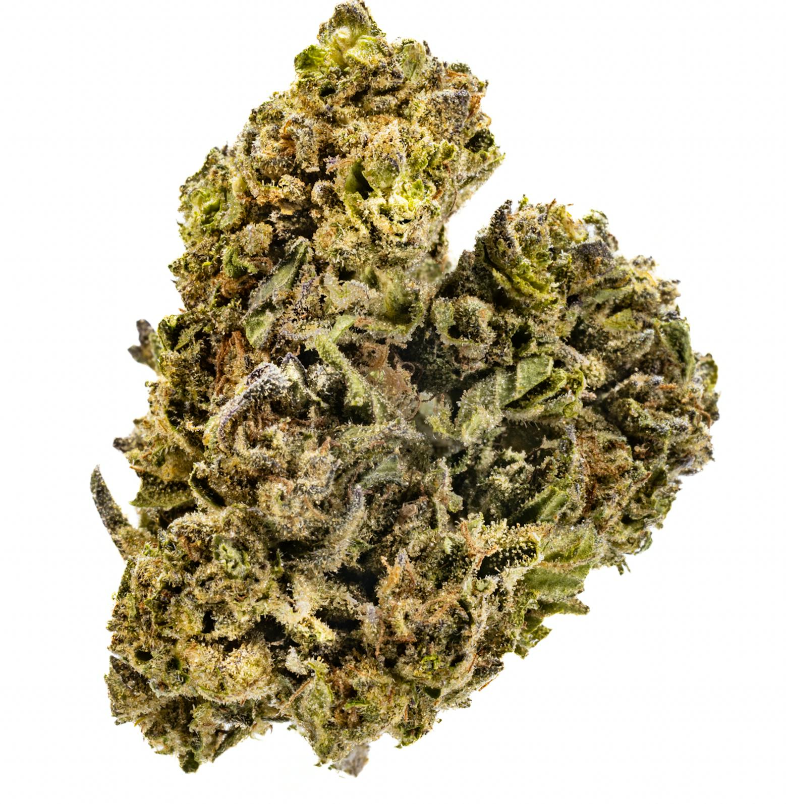 Banana Jelly - 28G Premium Flower - West Coast Cure