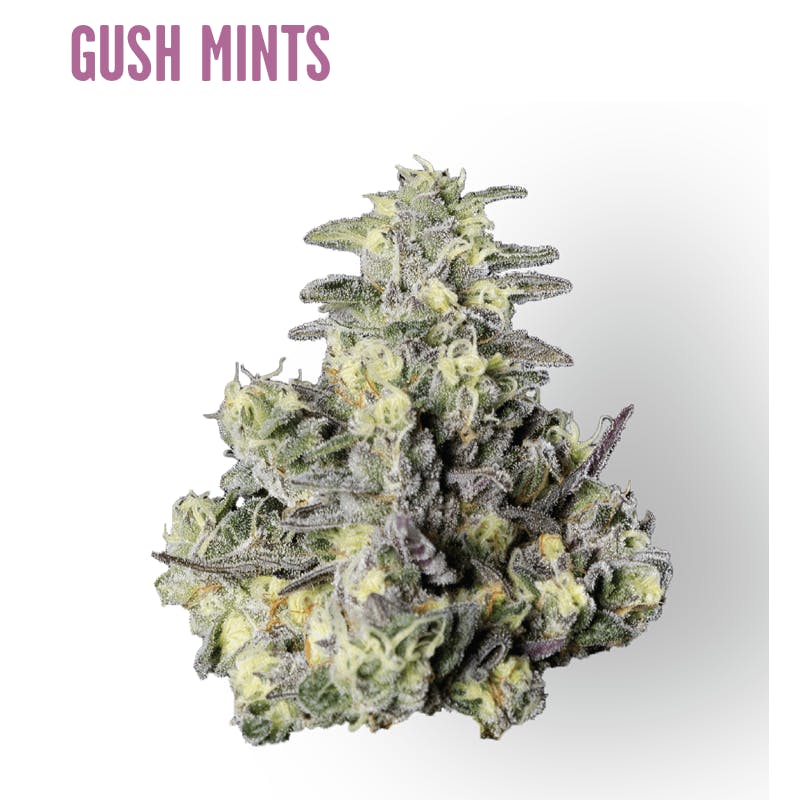 Ozone | Gush Mints | Shake | 7G - Ozone