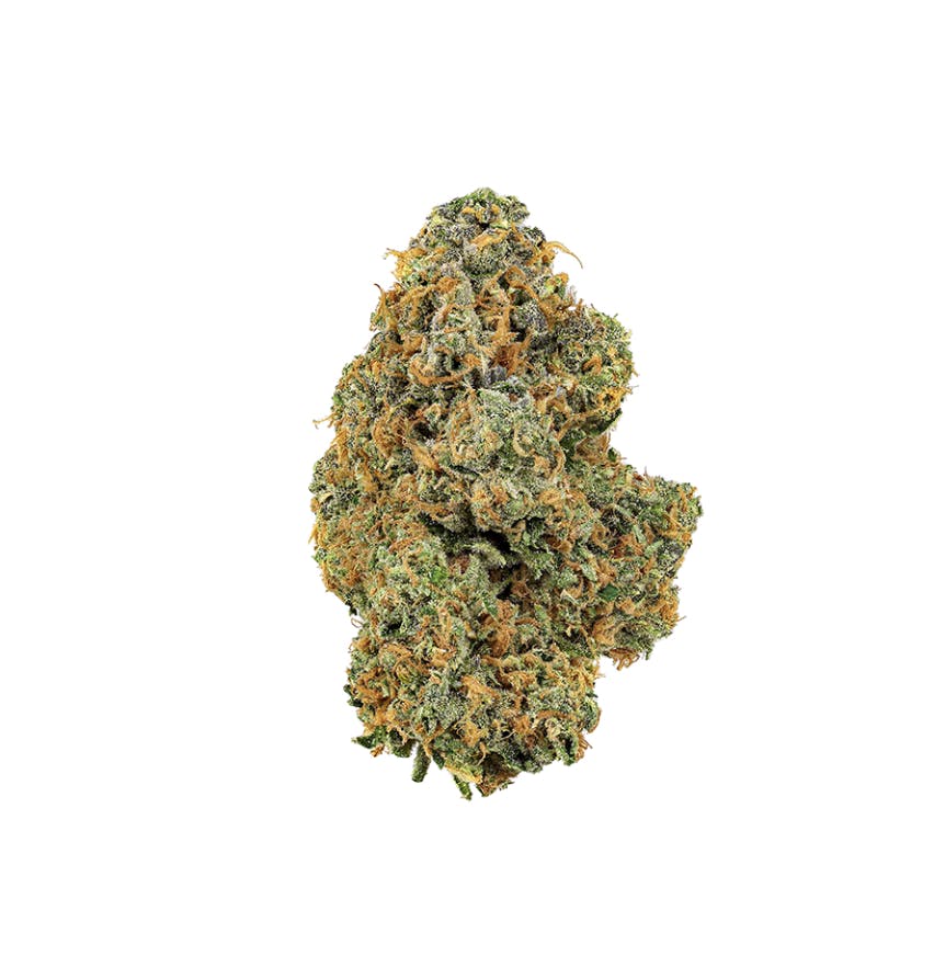 Revolution | Yellow Zushi | Flower | 14G - Revolution Cannabis