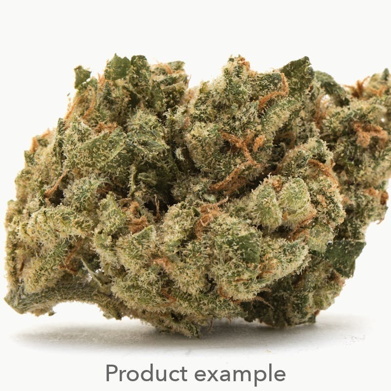 Goodlyfe Farms - Mint Condition Flower 28g - Goodlyfe Farms