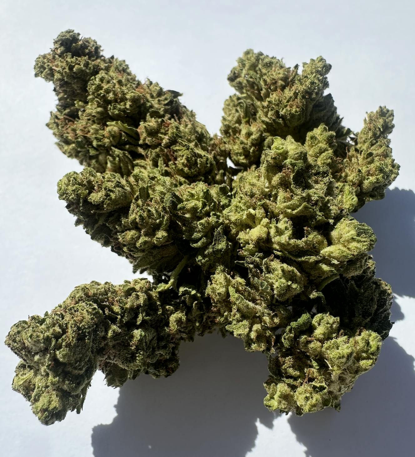 Honey Banana - Hybrid - 33% THC - Animal