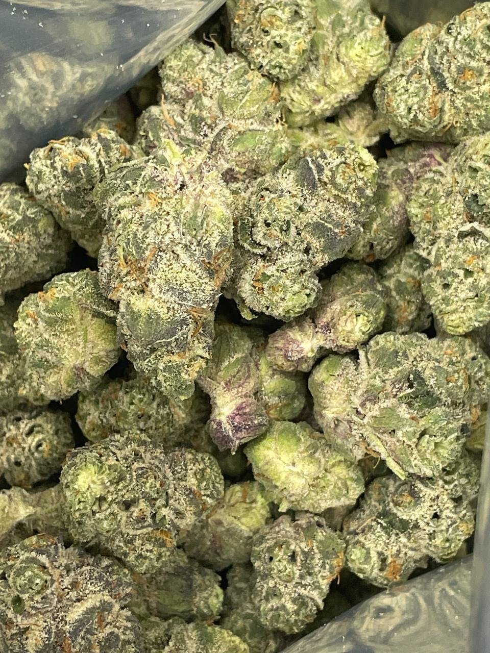 Don Mega (H) (1oz Prepack) - Lazy Daze